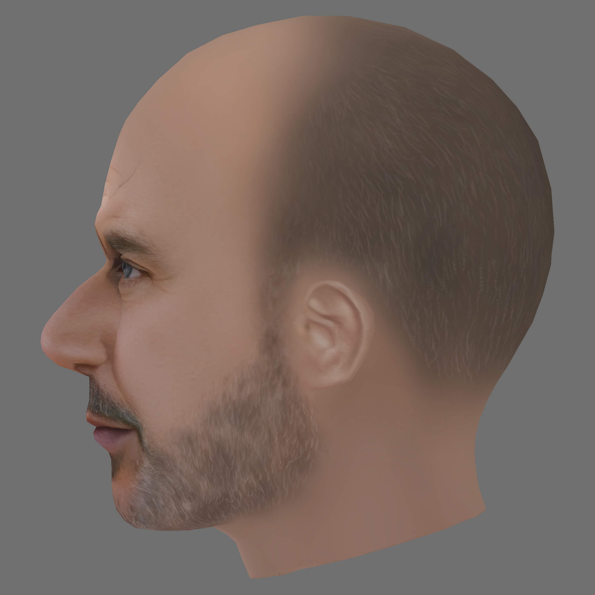 Lior Raz Head - Low Poly Head for Game 3D Model by Nammichael
