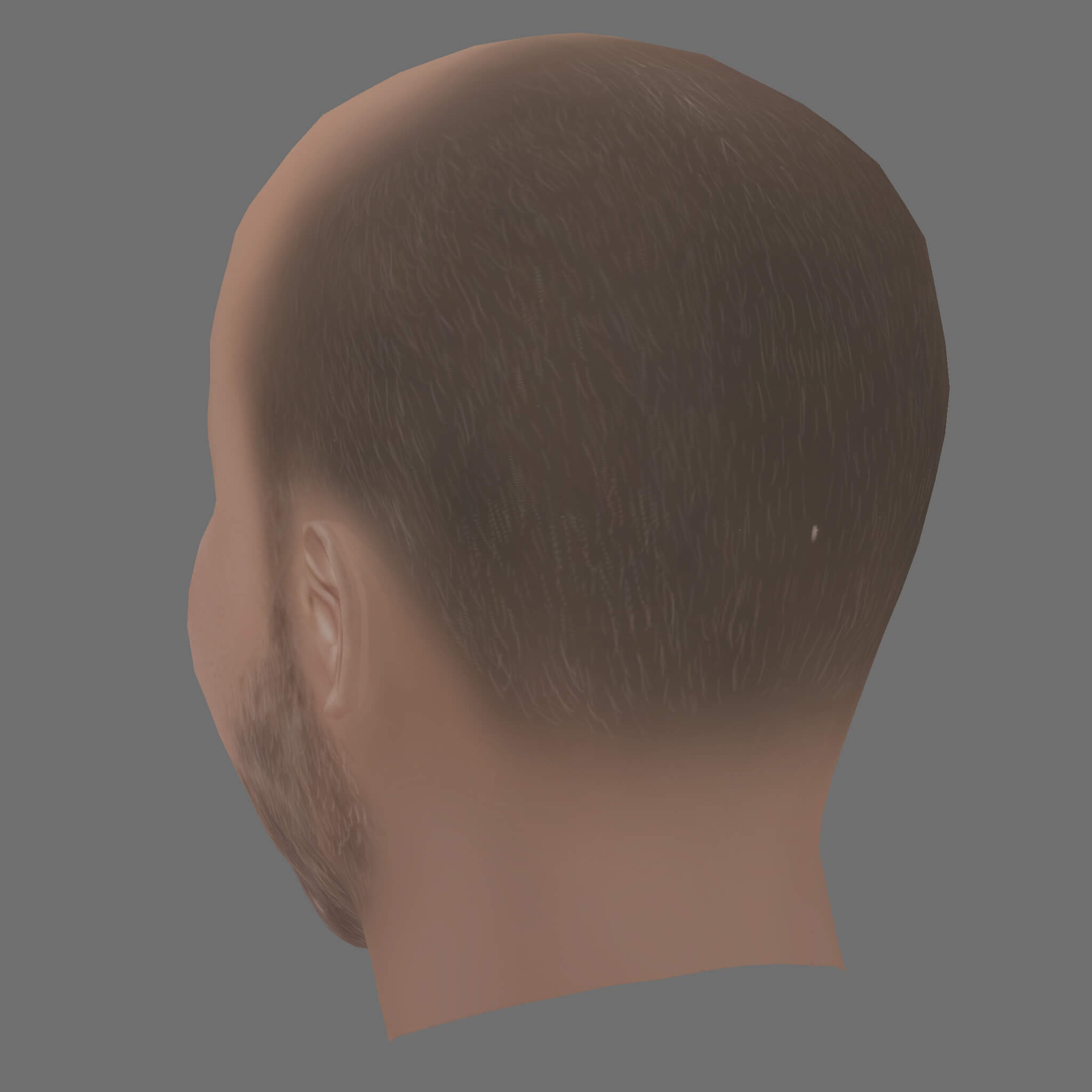 Lior Raz Head - Low Poly Head for Game 3D Model by Nammichael