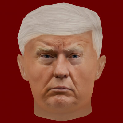 Low Poly Head of The President - Donald Trump 3D Model by Nammichael