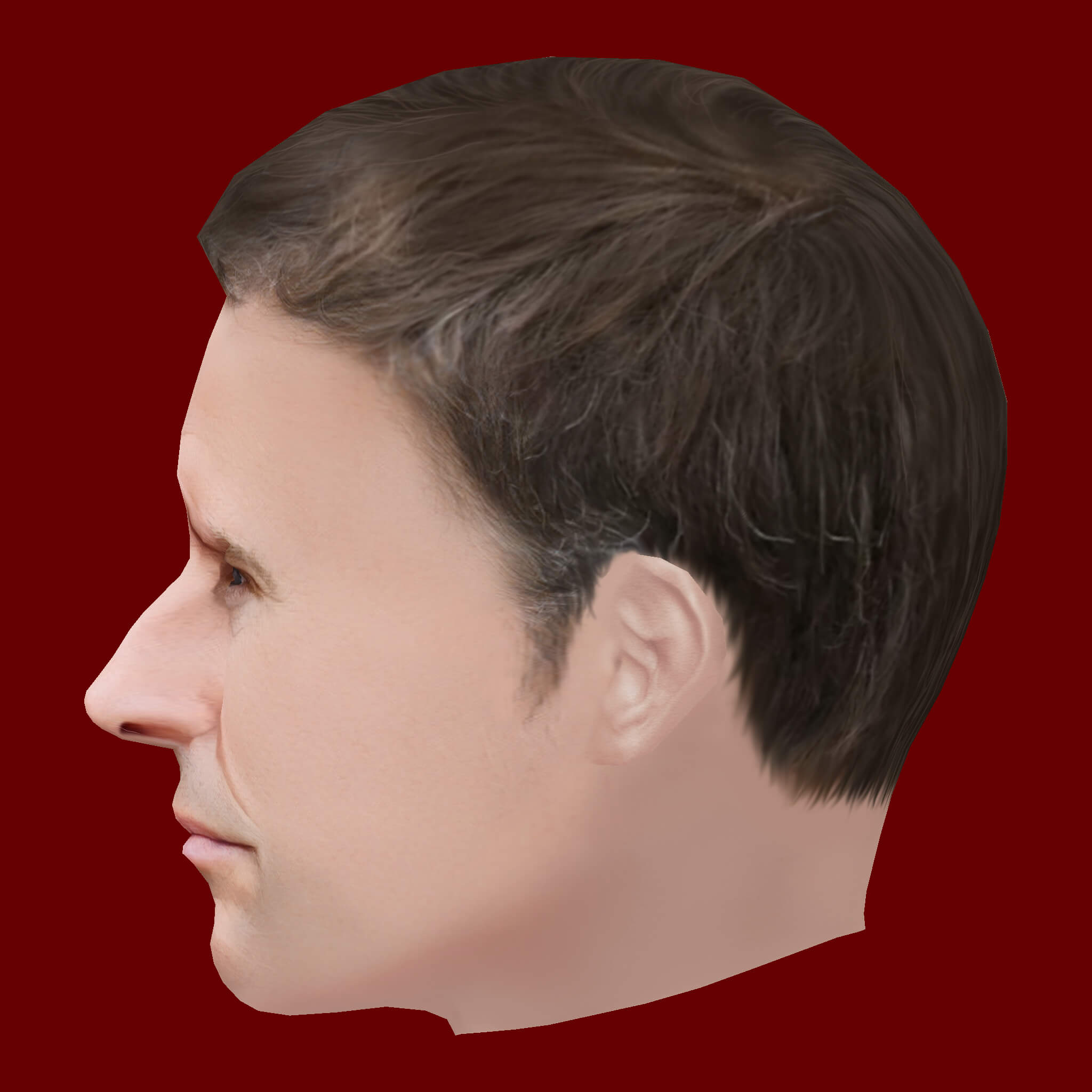 Low Poly Head of The President - Emmanuel Macron 3D Model by Nammichael