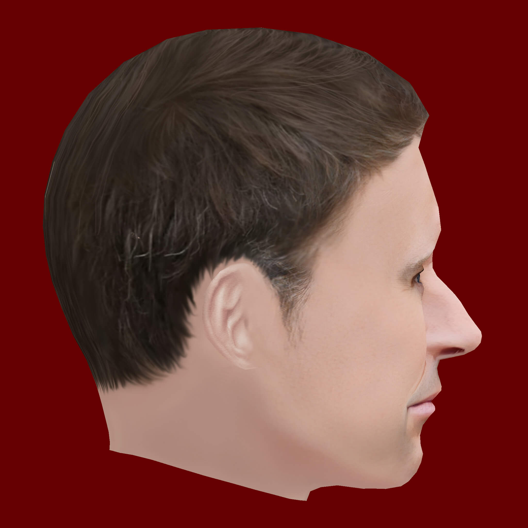 Low Poly Head of The President - Emmanuel Macron 3D Model by Nammichael