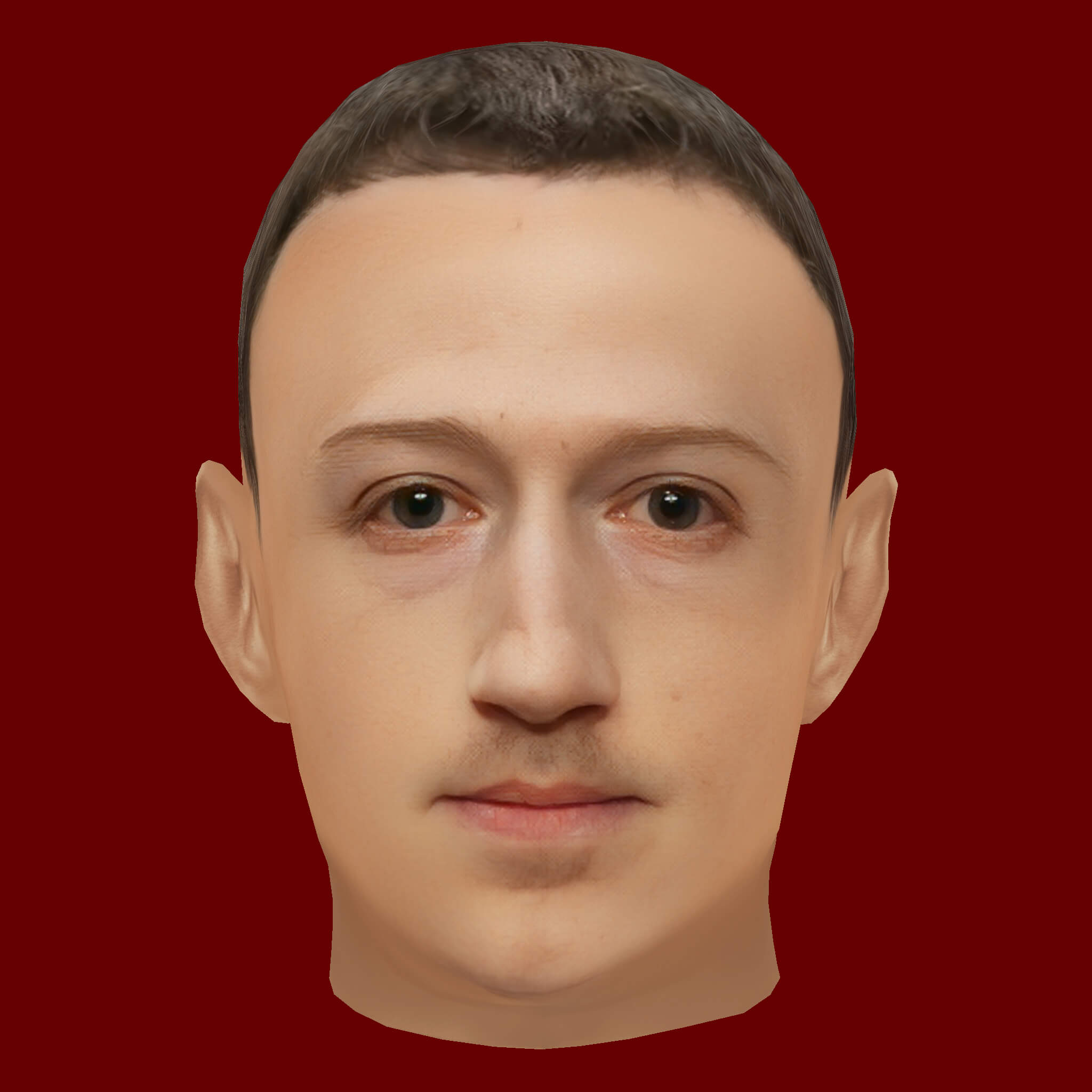 Mark Zuckerberg Low Poly Head - 3D Model by Nammichael