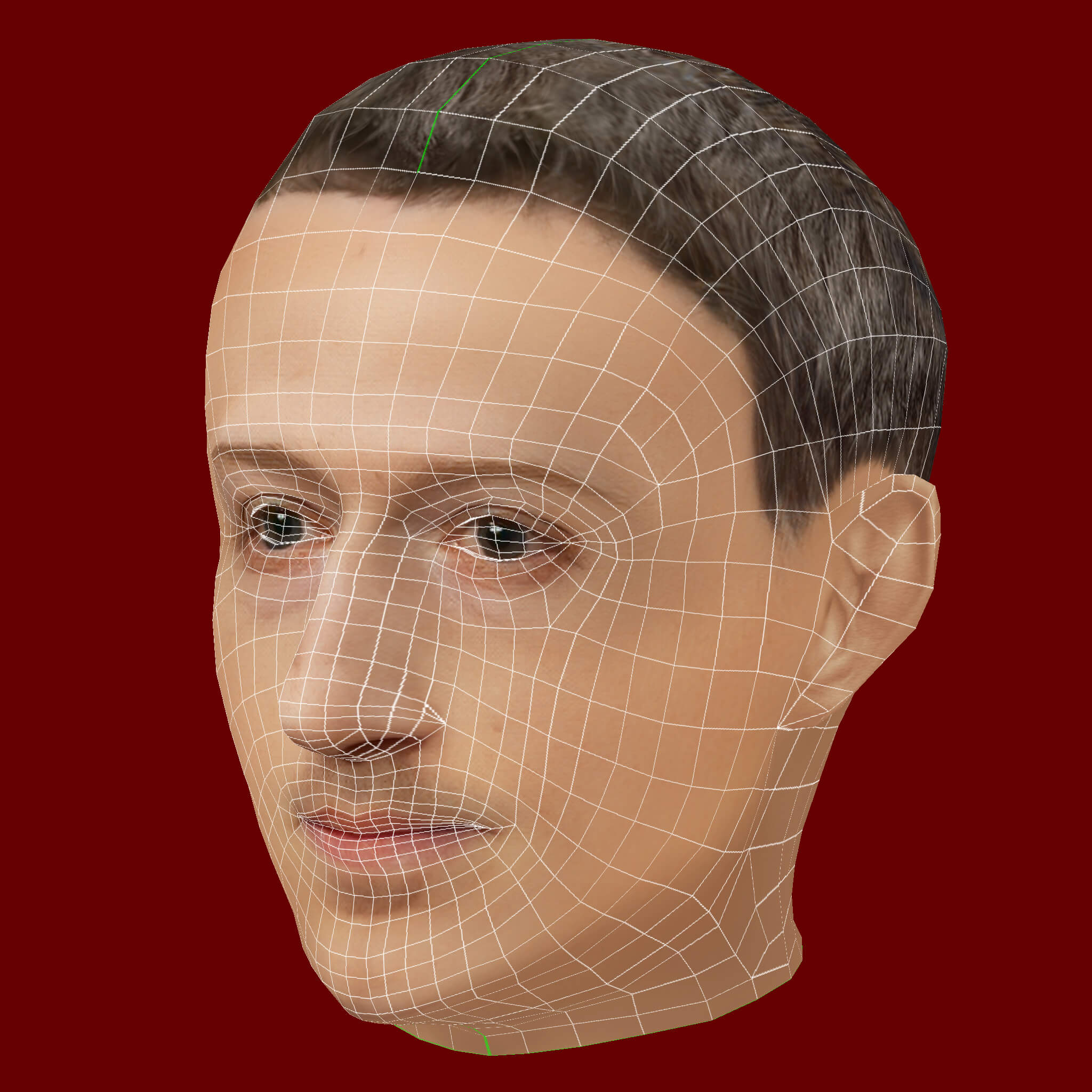 Mark Zuckerberg Low Poly Head - 3D Model by Nammichael
