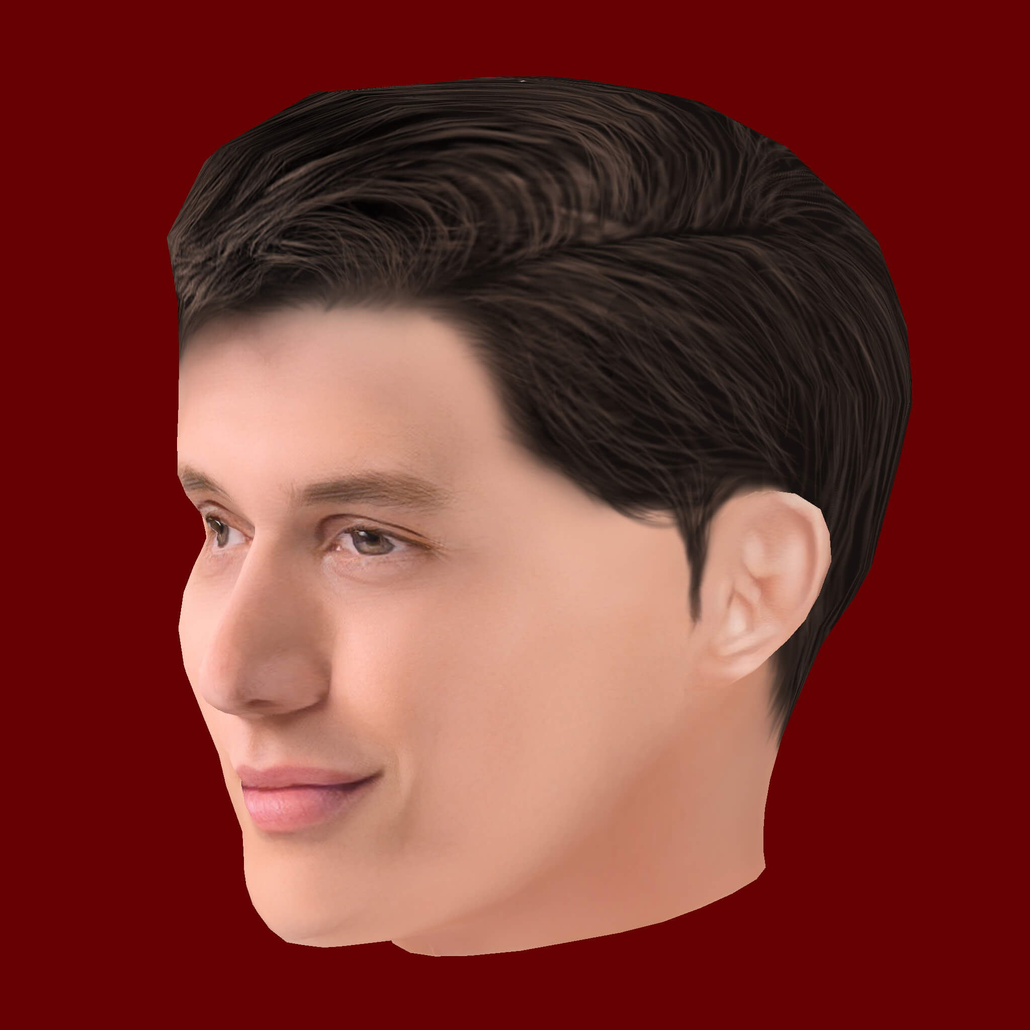 Nick Robinson Head - Low Poly Head for Game Low Poly 3D Model by Nammichael