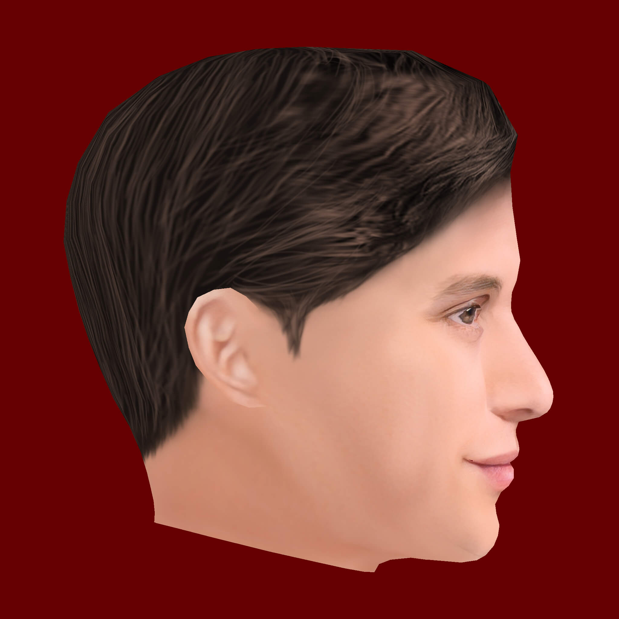 Nick Robinson Head - Low Poly Head for Game Low Poly 3D Model by Nammichael