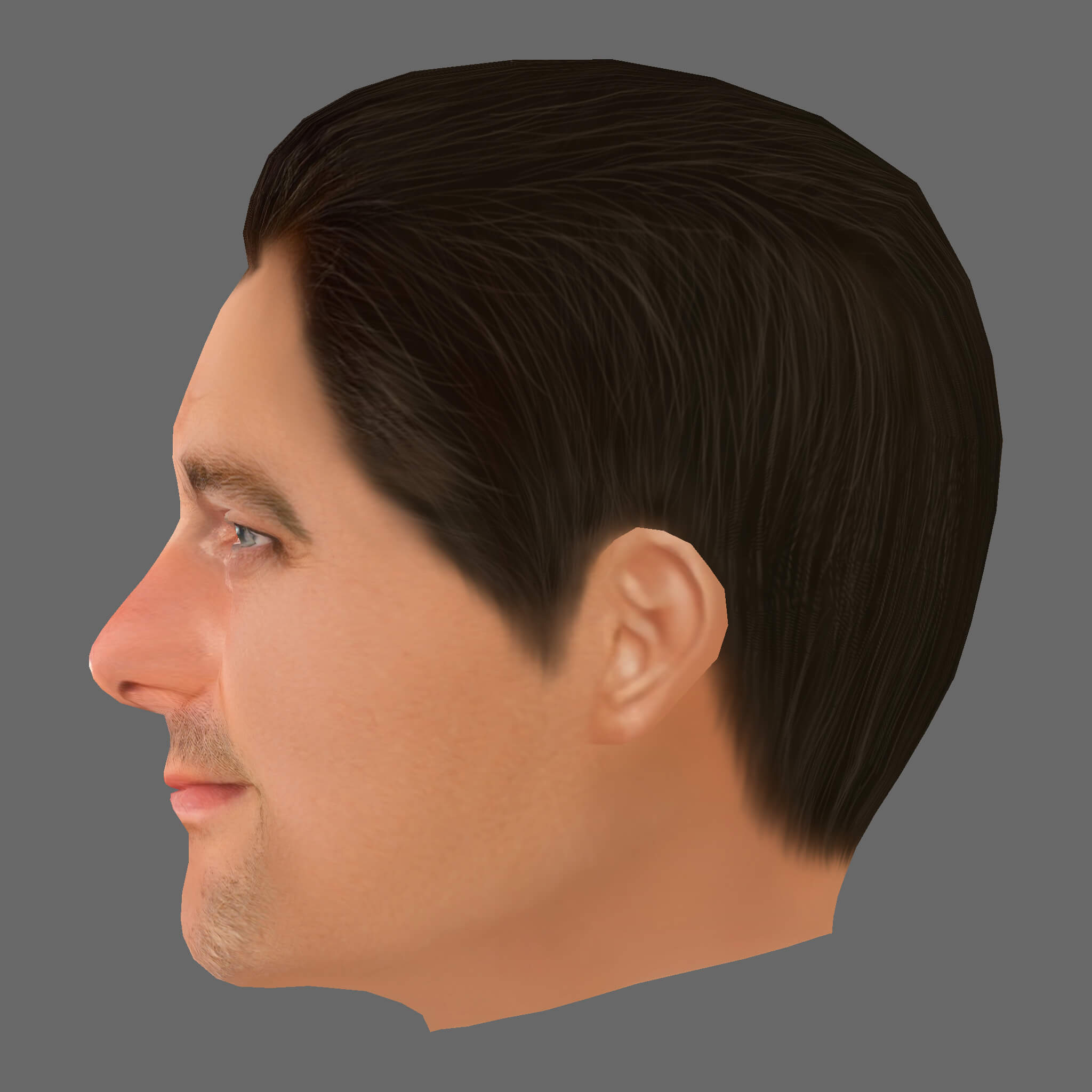 Ray Stevenson Head - Low Poly Head for Game 3D Model by Nammichael