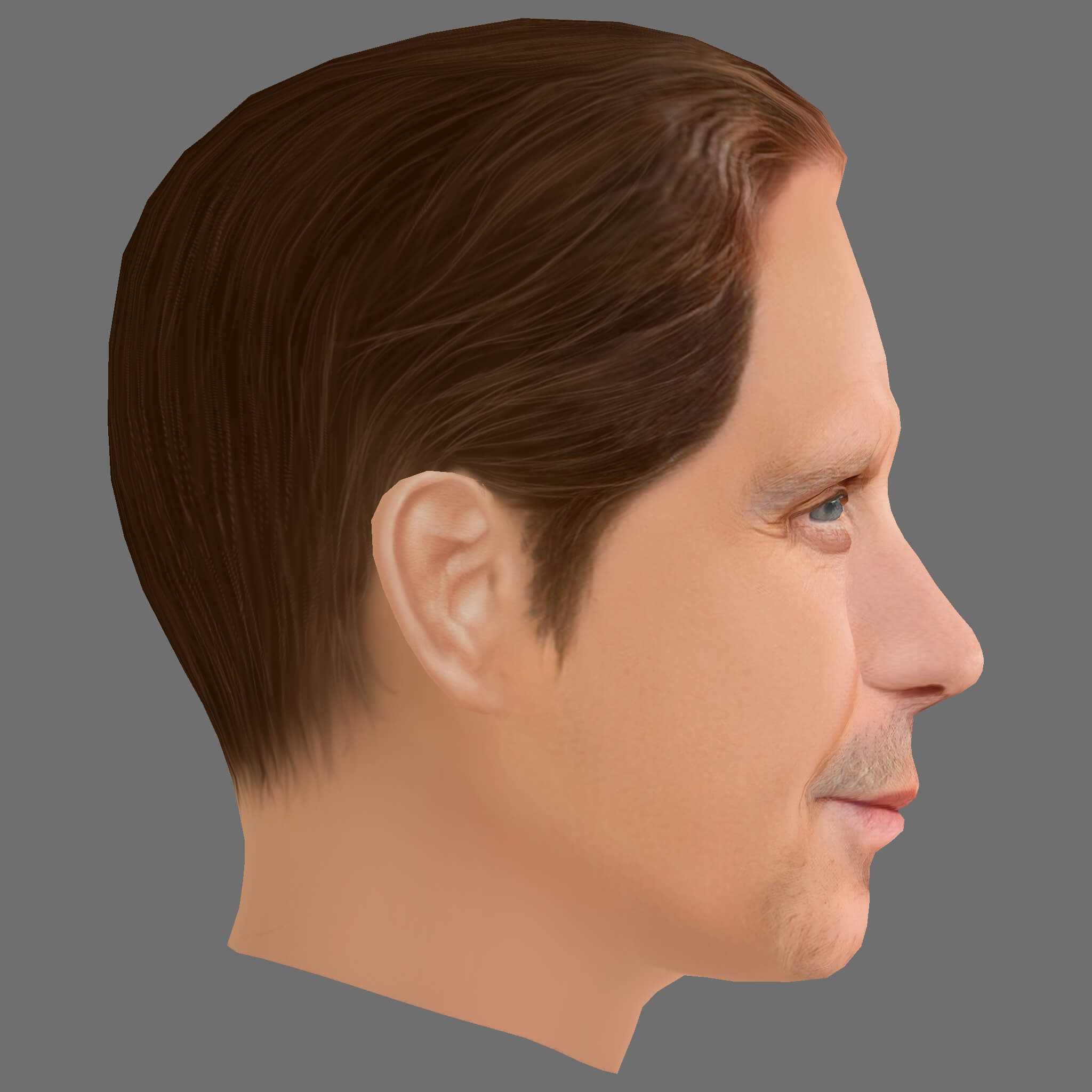 Rhys Ifans Head - Low Poly Head for Game 3D Model by Nammichael