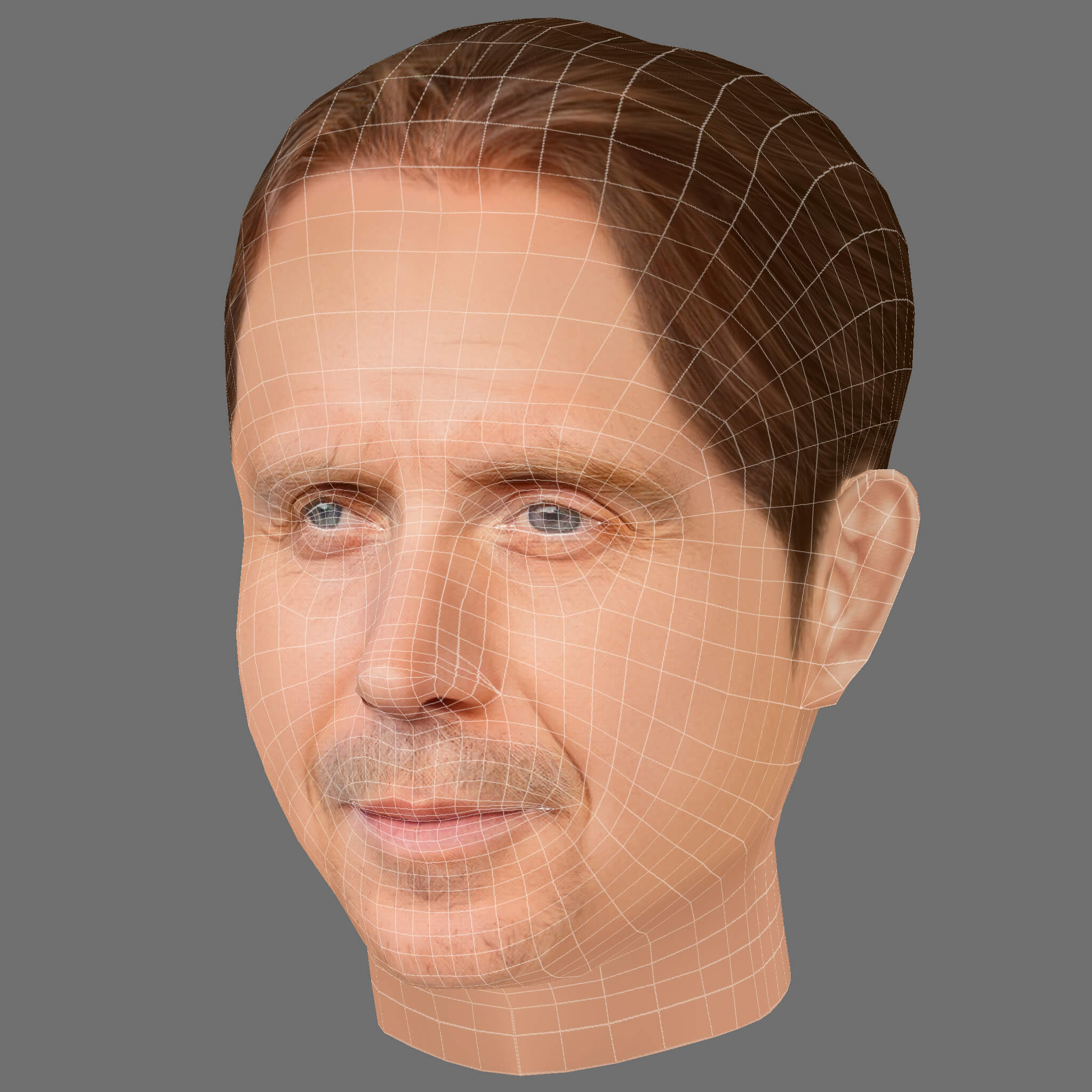 Rhys Ifans Head - Low Poly Head for Game 3D Model by Nammichael