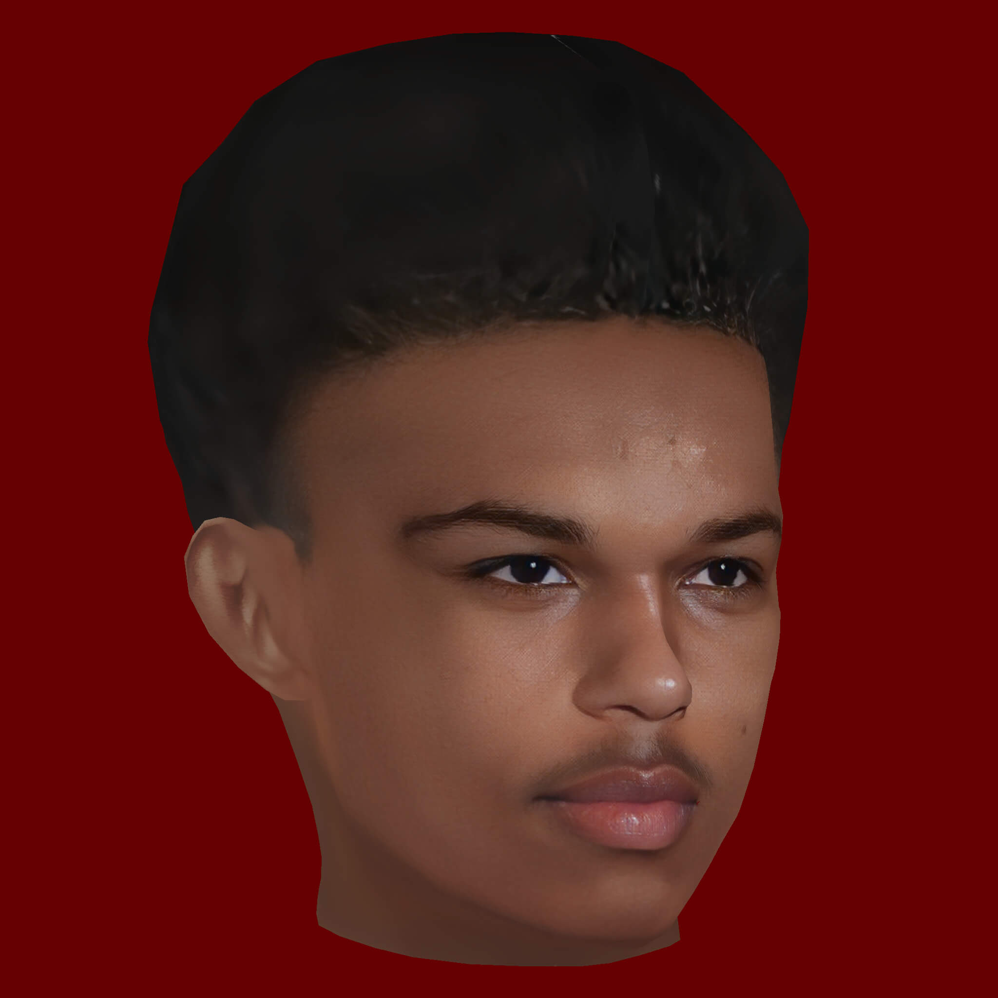 Shola Shoretire Head - Low Poly Head for Game 3D Model by Nammichael