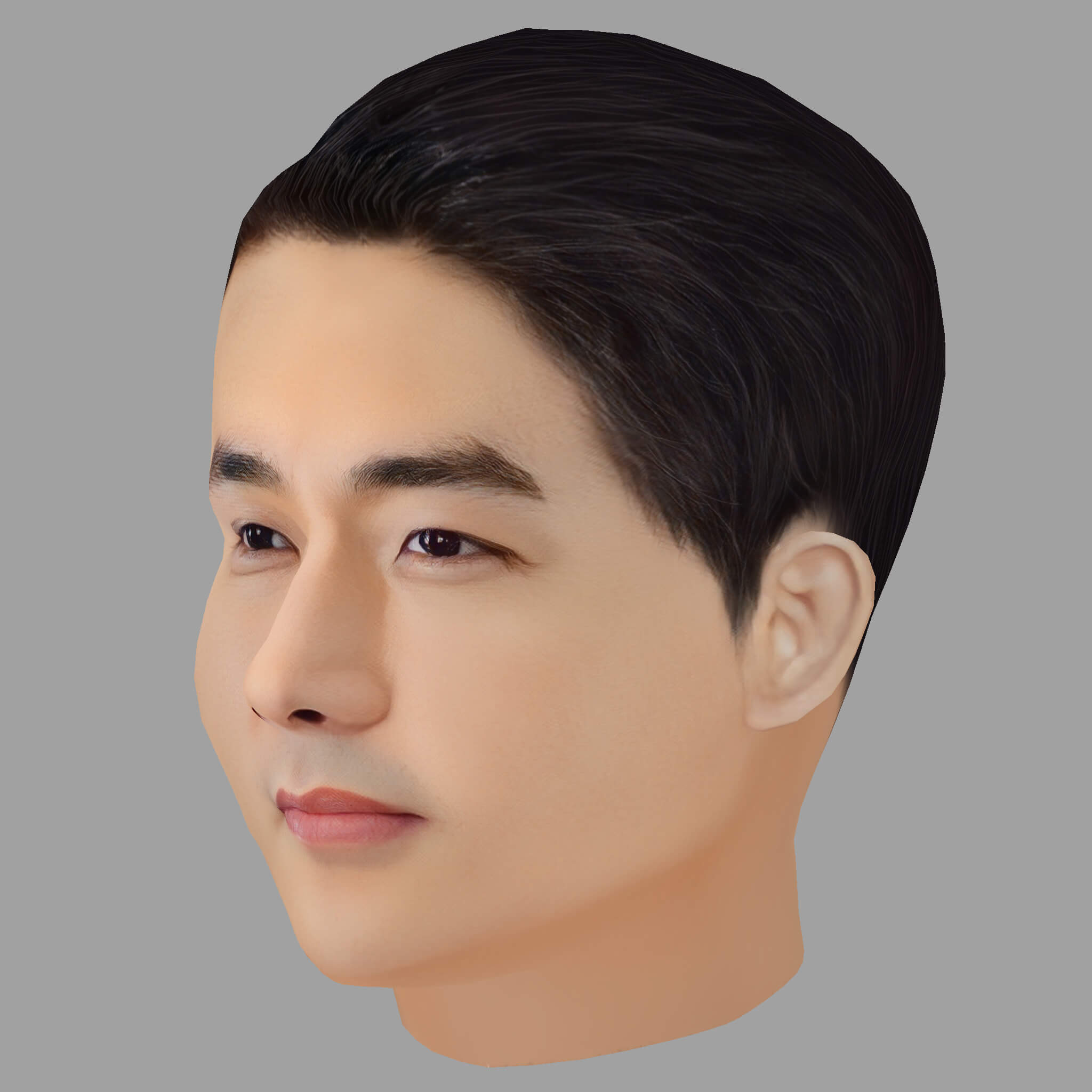 Song Seung Heon Head - Low Poly Head for Game 3D Model by Nammichael