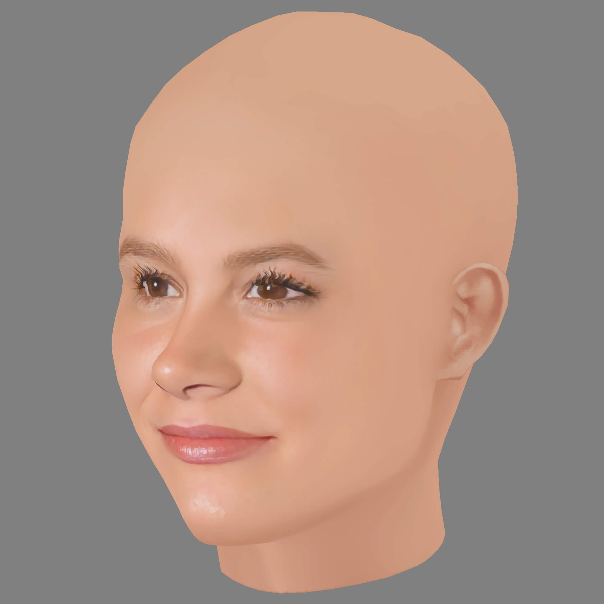Sosie Bacon Head - No Hair - Low Poly Head for Game 3D Model by Nammichael