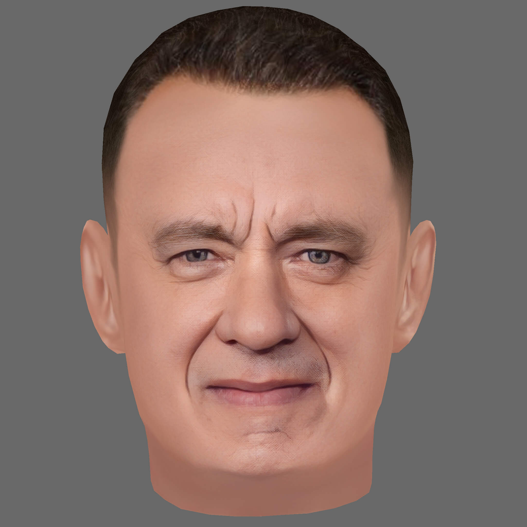 Tom Hanks Head - 3D Model by Nammichael