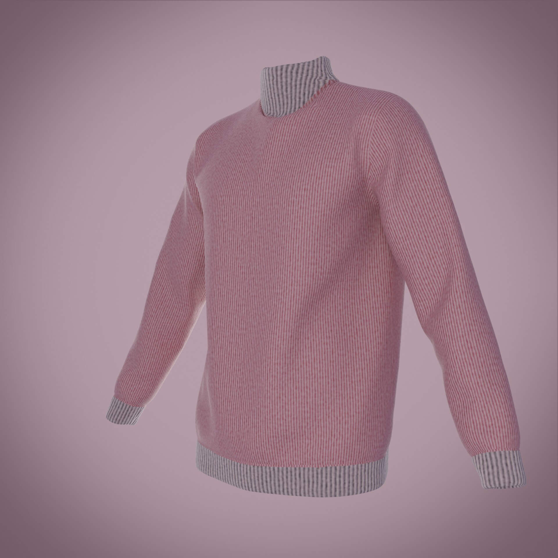 Turtleneck Sweater - 3D Model by Nana Jimoh