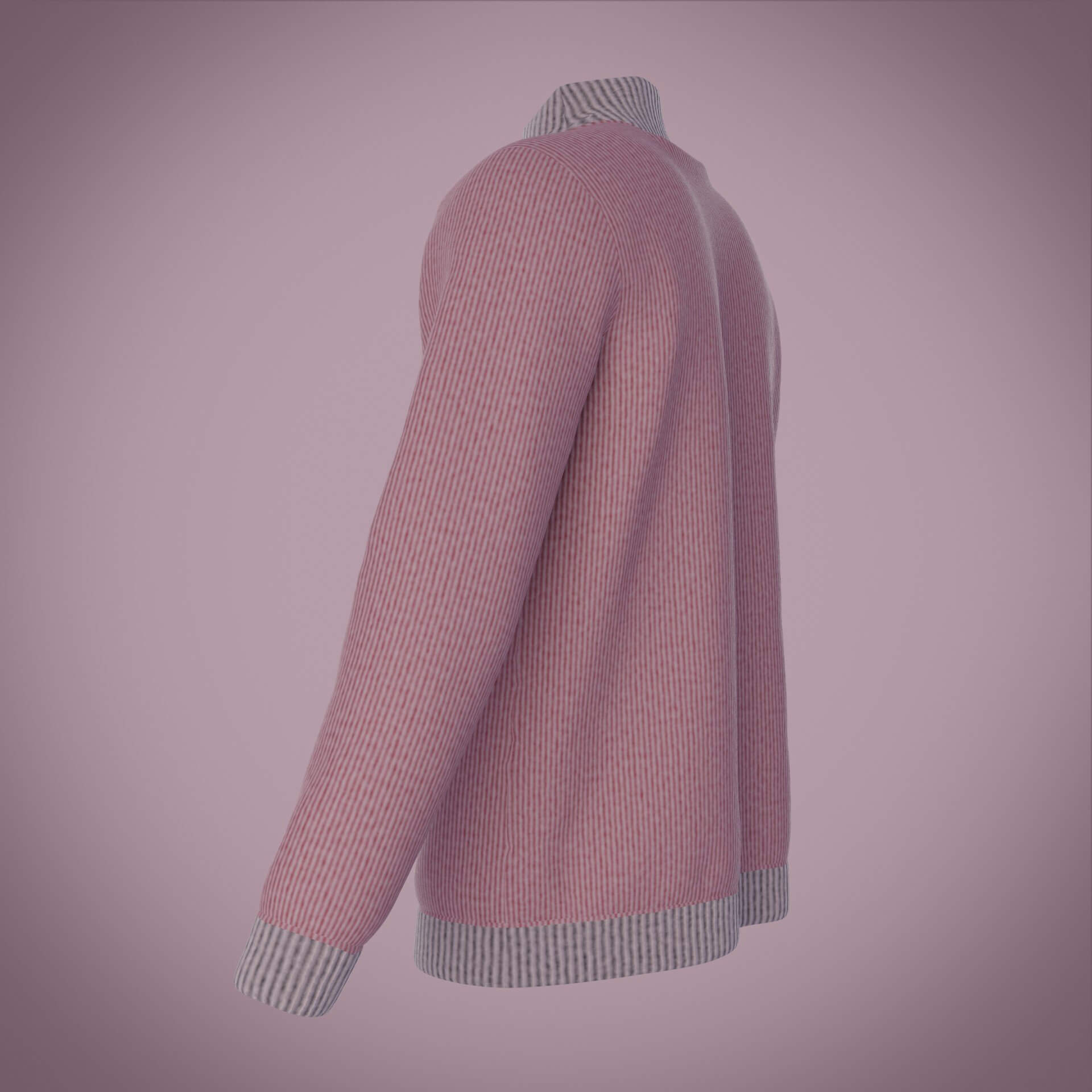 Turtleneck Sweater - 3D Model by Nana Jimoh