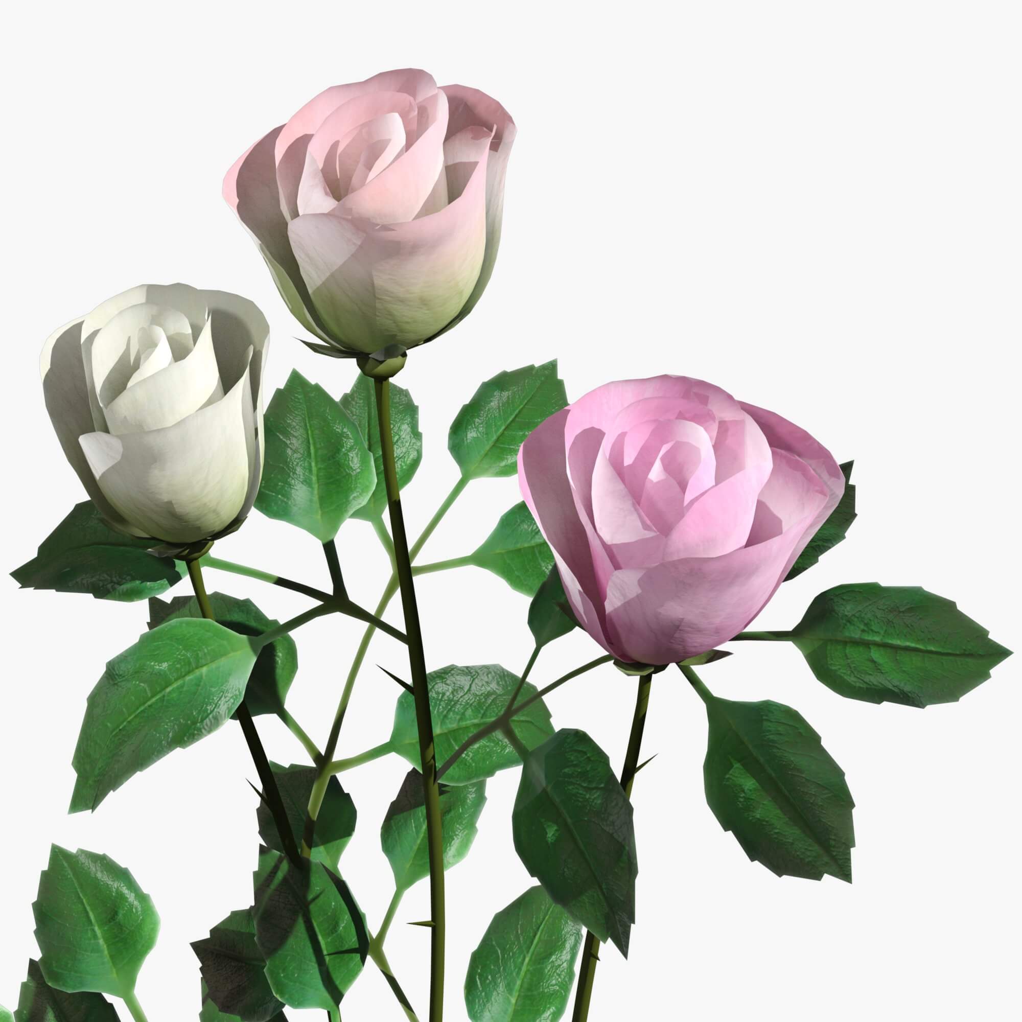 Set of Rose Flowers - 3D Model by NataliaMalc