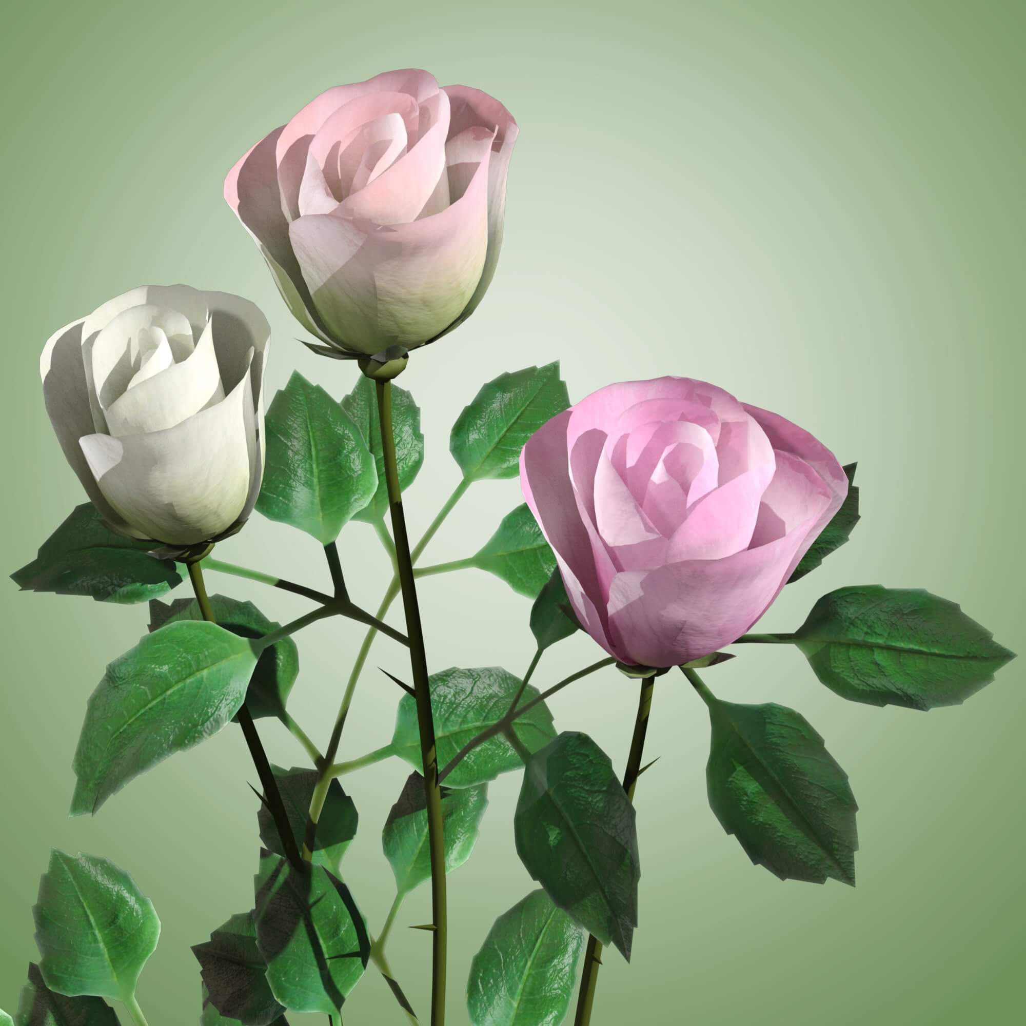 Set of Rose Flowers - 3D Model by NataliaMalc