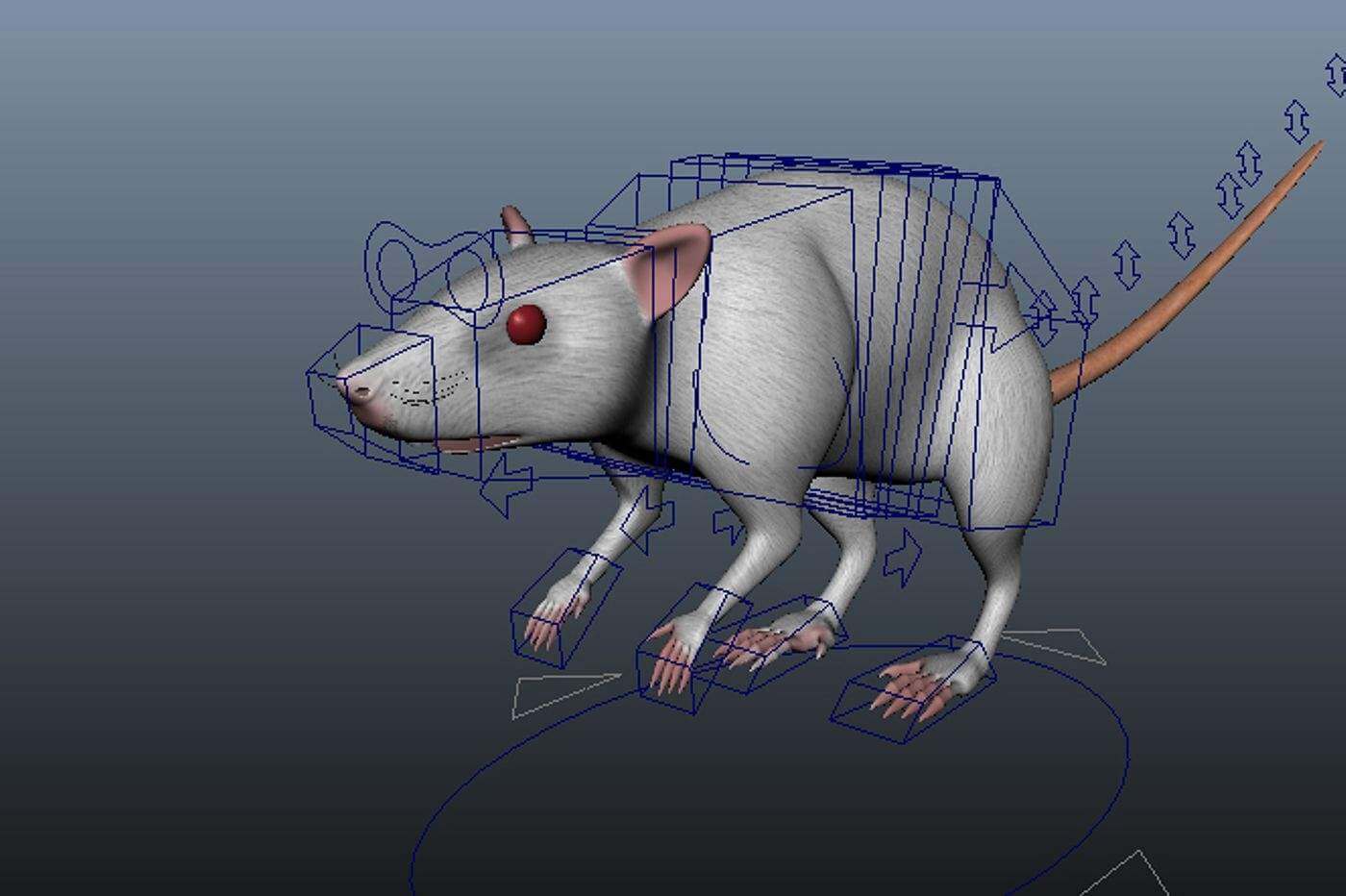 Mouse - 3D Model by nelsonevasco