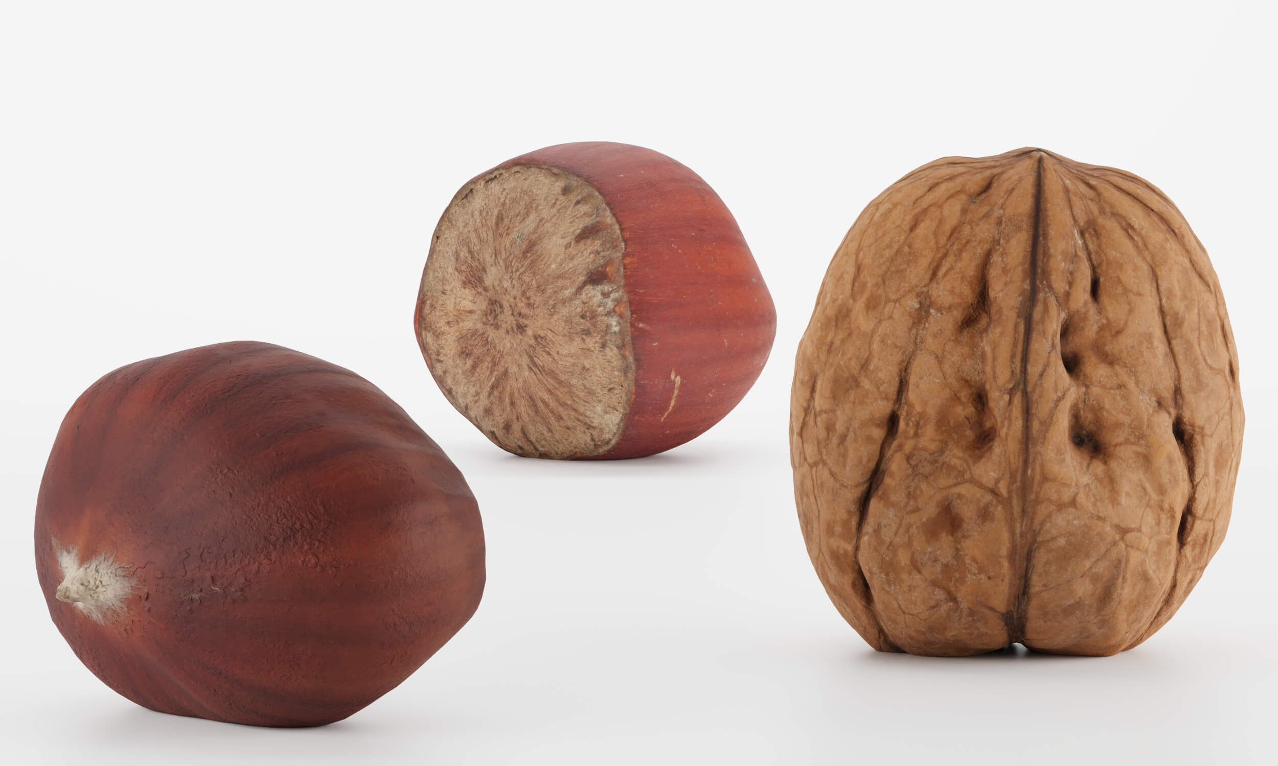 Nuts Collection - 3D Model by NeoArchitect