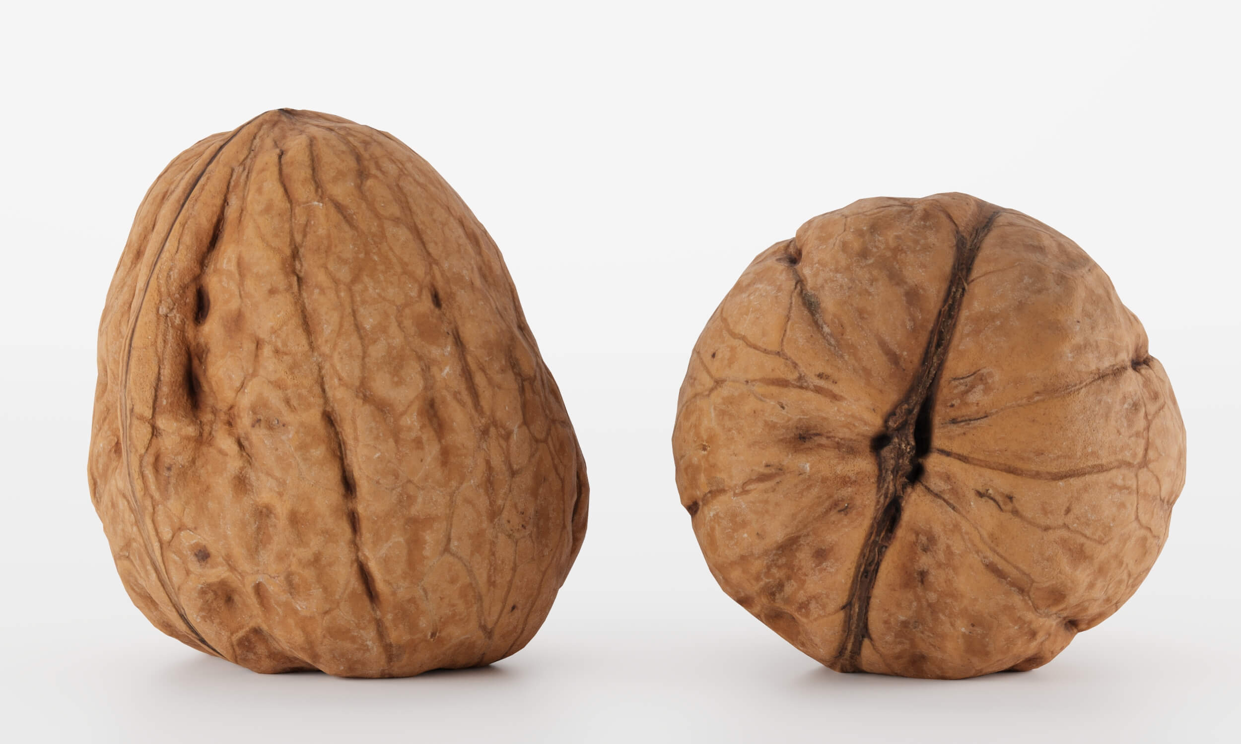 Nuts Collection - 3D Model by NeoArchitect