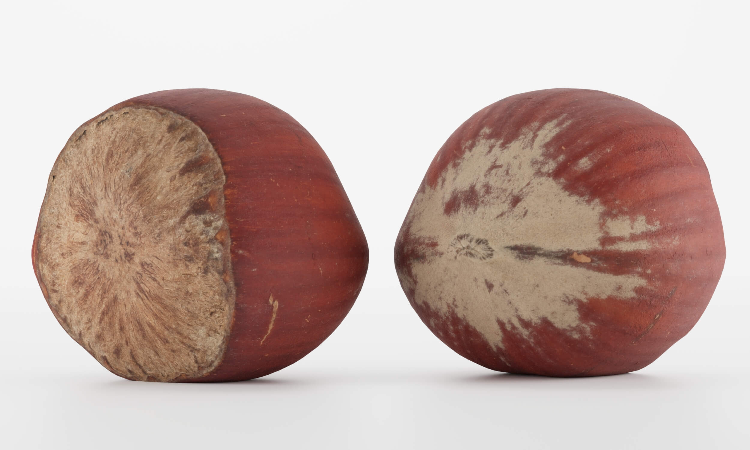 Nuts Collection - 3D Model by NeoArchitect