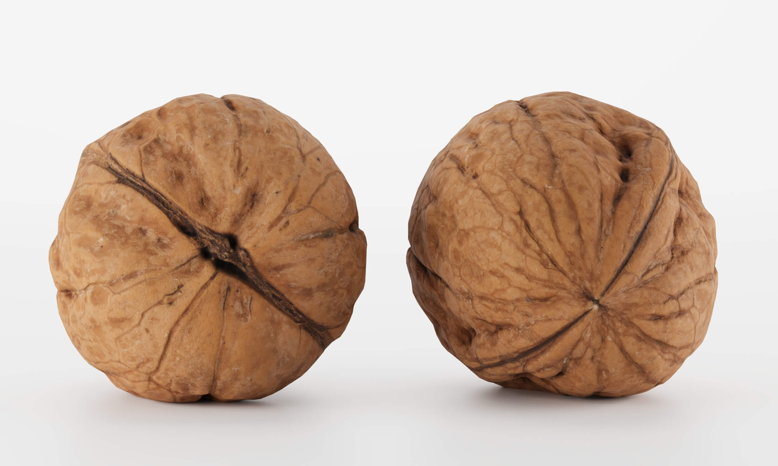 Nuts Collection - 3D Model by NeoArchitect