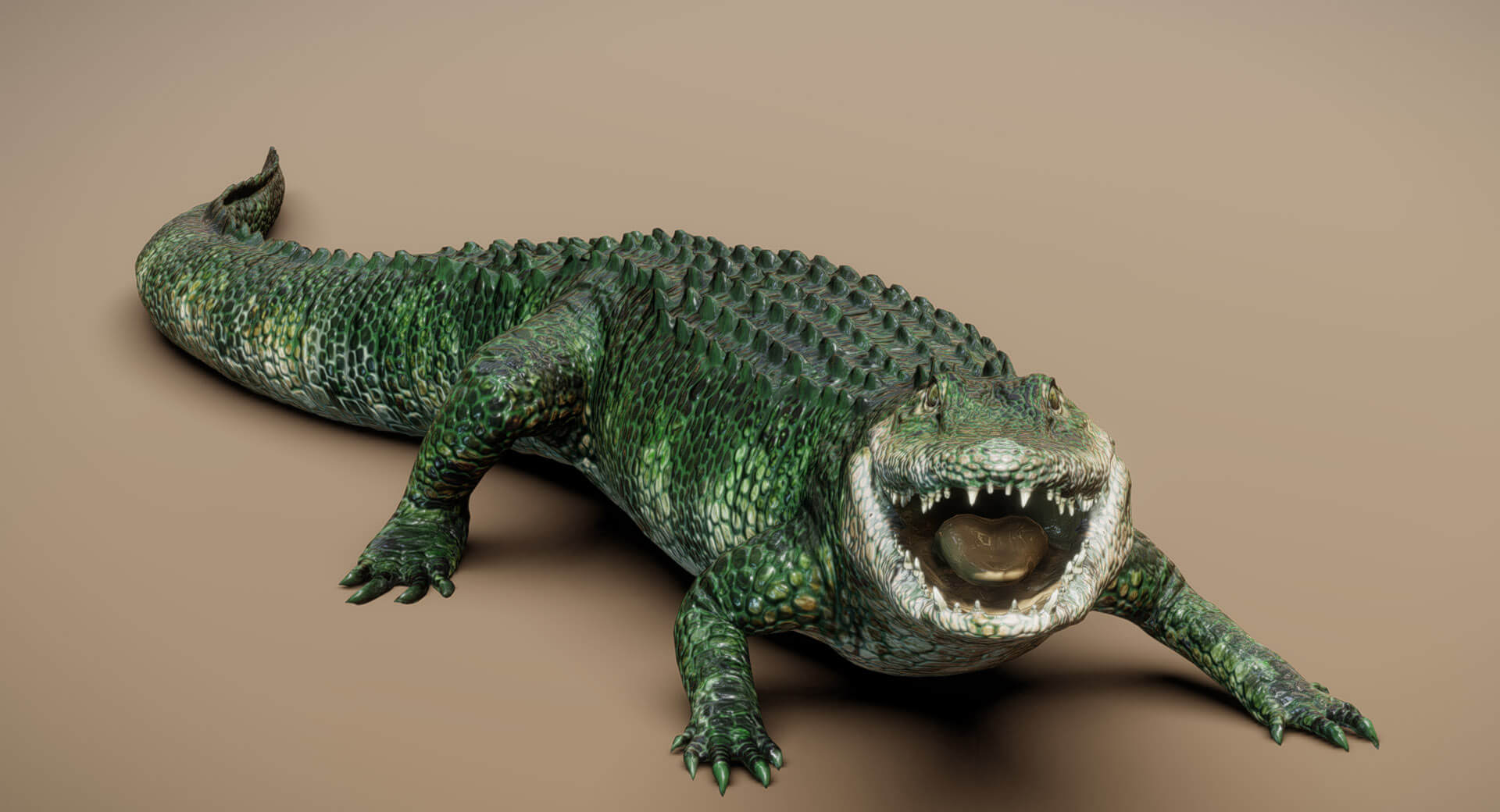 American Alligator ( Animated 3D Model FBX ) by Nestaeric