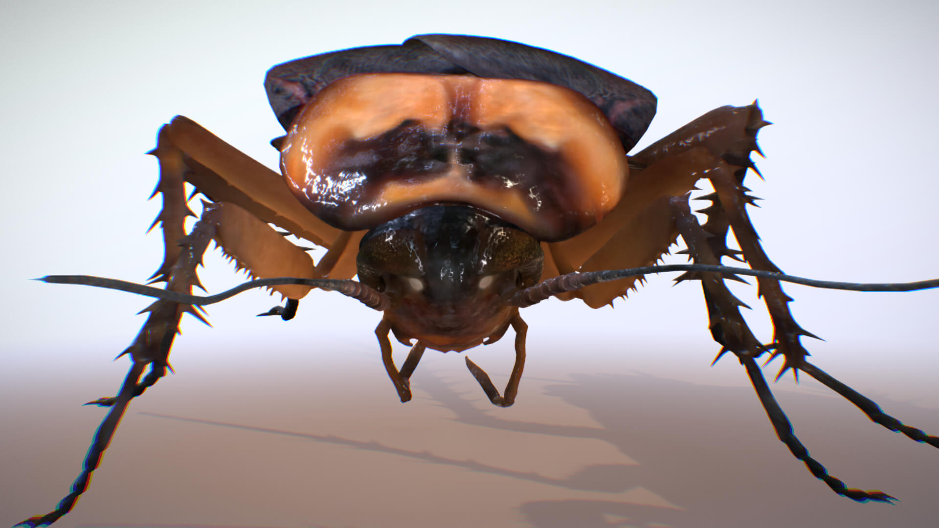 American Cockroach ( Animated 3D Model FBX ) by Nestaeric
