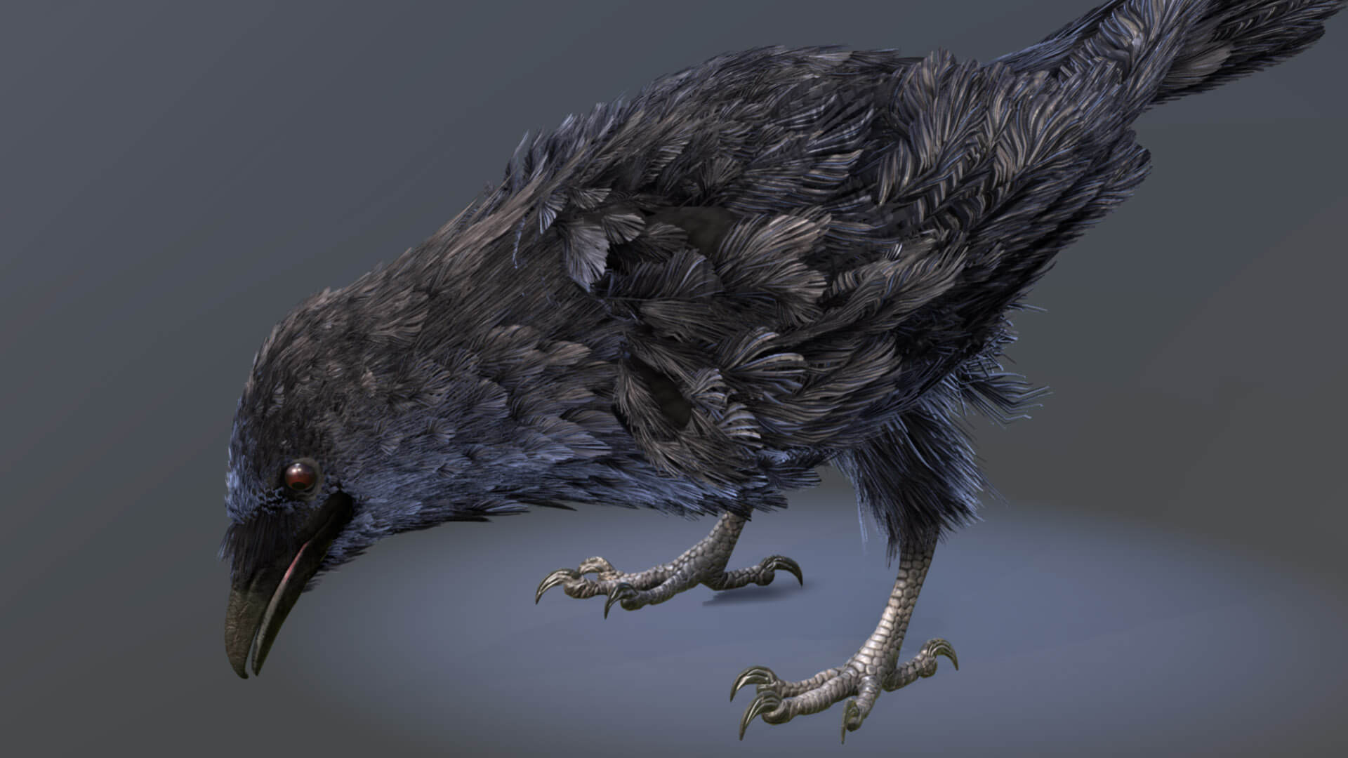 American Crow 3D Model by Nestaeric