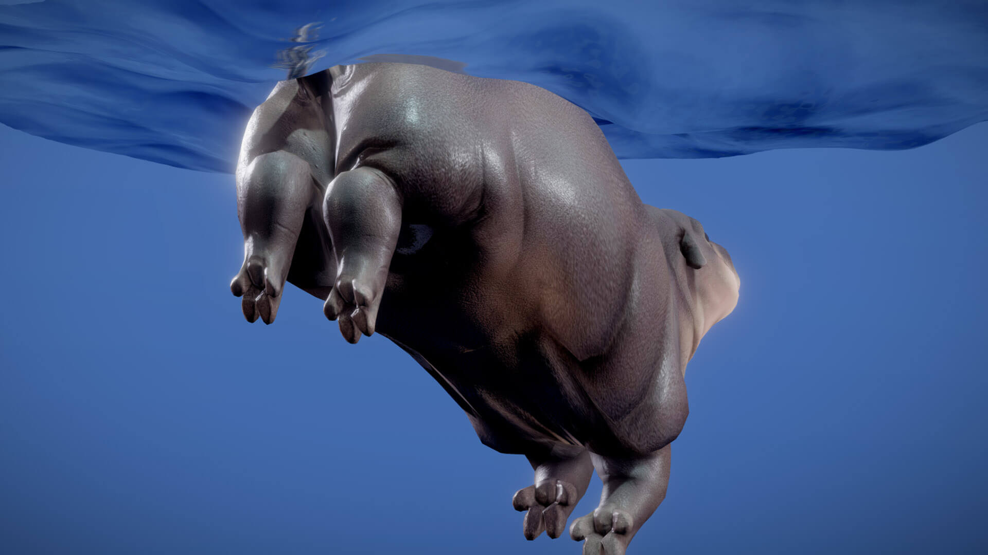 Baby Pygmy Hippopotamus 3D Model by Nestaeric