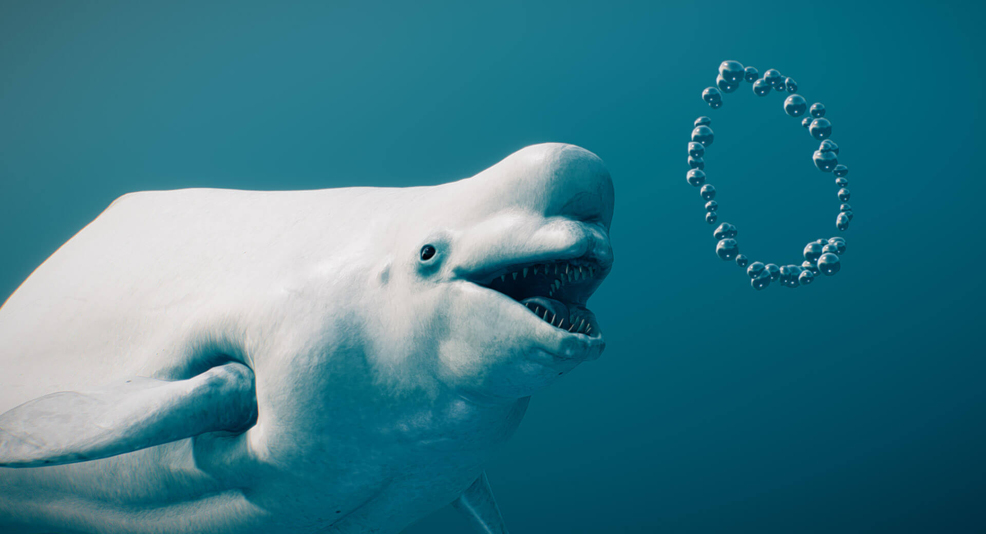 Beluga Whale 3D Model by Nestaeric