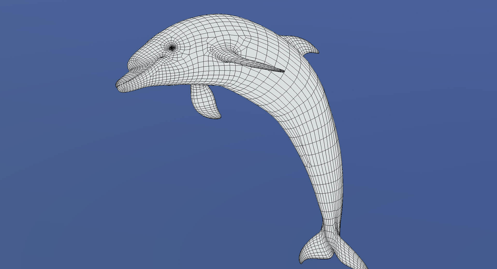 Bottlenose Dolphin ( Animated 3D Model FBX ) by Nestaeric