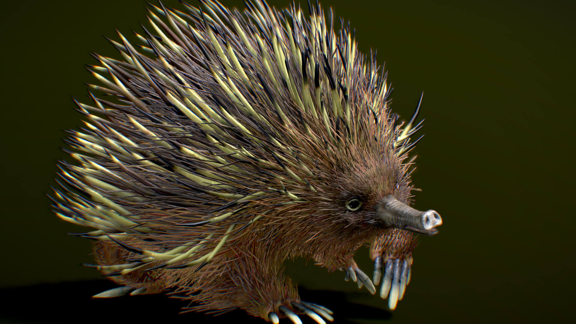 Echidna 3D Model by Nestaeric