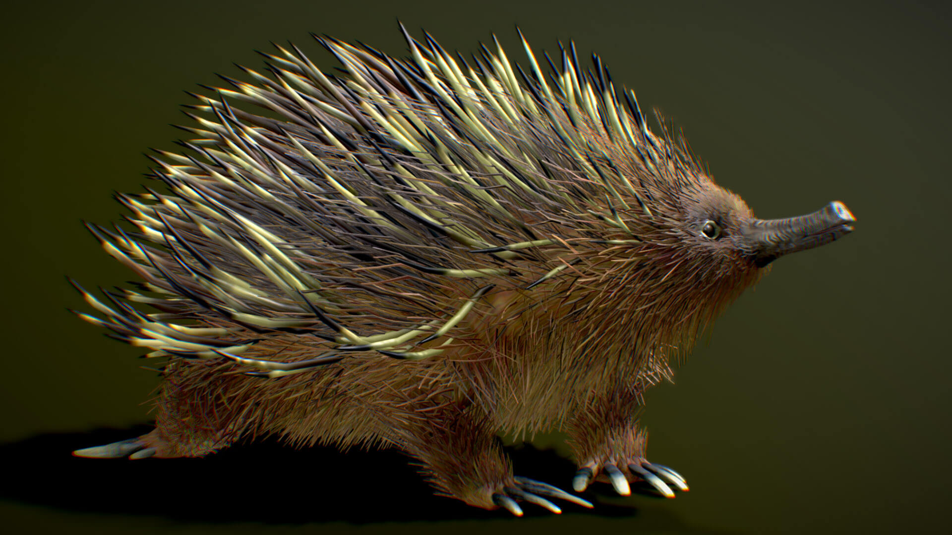 Echidna 3D Model by Nestaeric