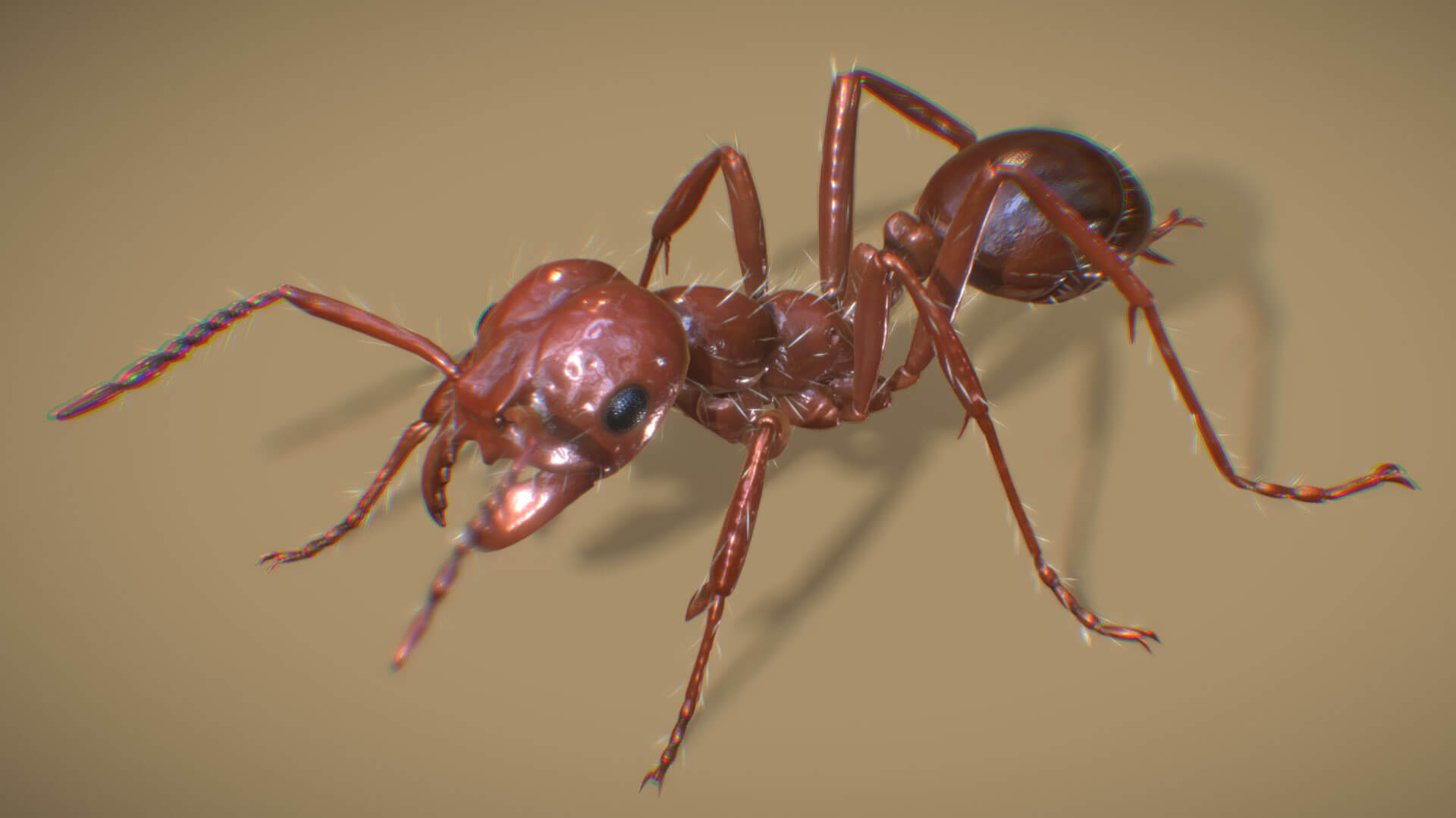 Fire Ant Worker 3D Model by Nestaeric
