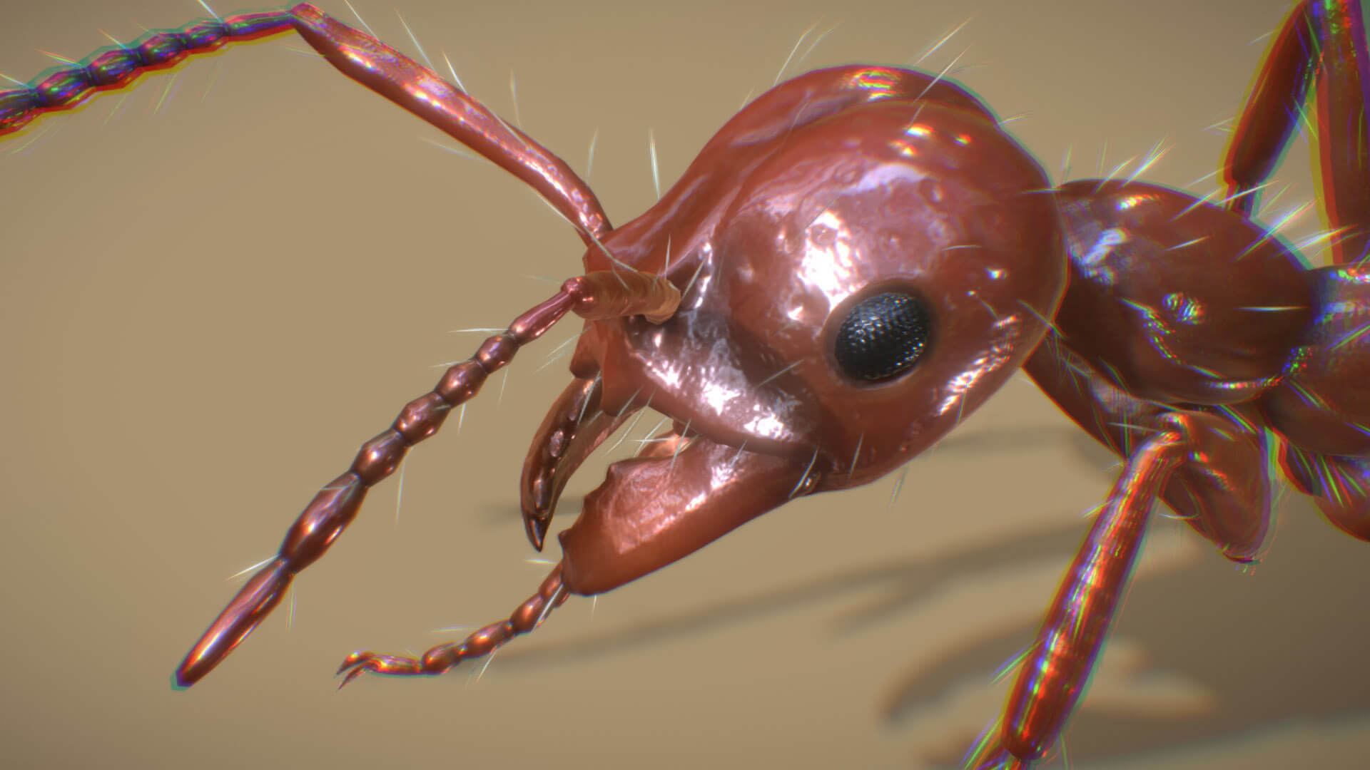 Fire Ant Worker 3D Model by Nestaeric