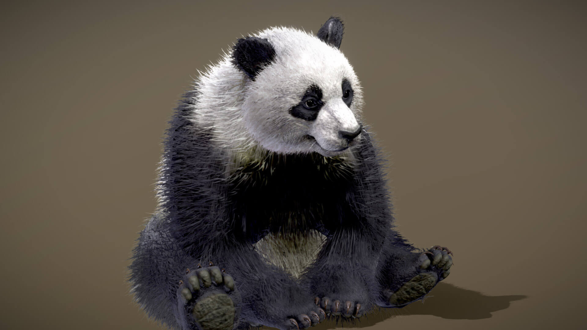 Giant Panda 3D Model by Nestaeric