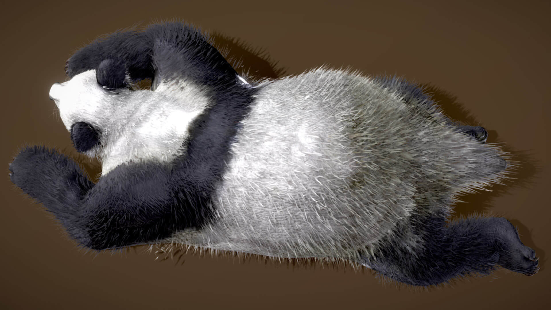 Giant Panda 3D Model by Nestaeric
