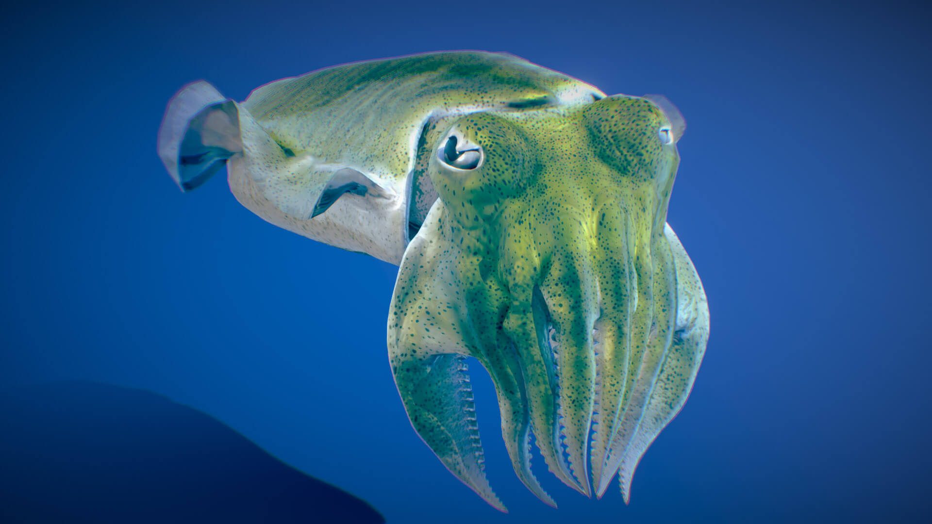 Golden Cuttlefish 3D Model by Nestaeric