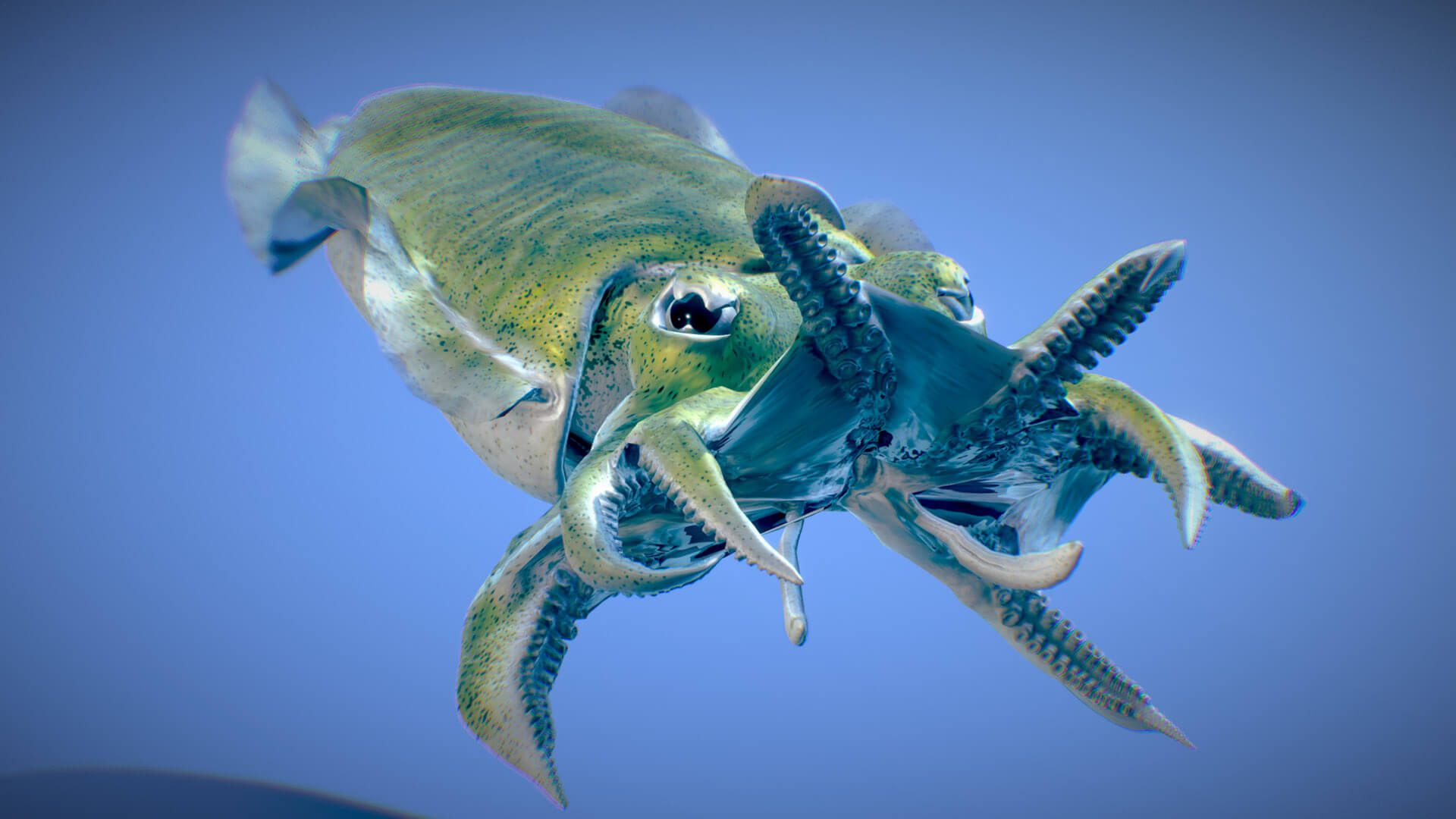 Golden Cuttlefish 3D Model by Nestaeric