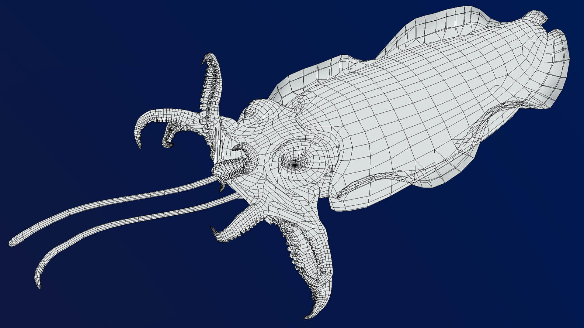 Golden Cuttlefish 3D Model by Nestaeric