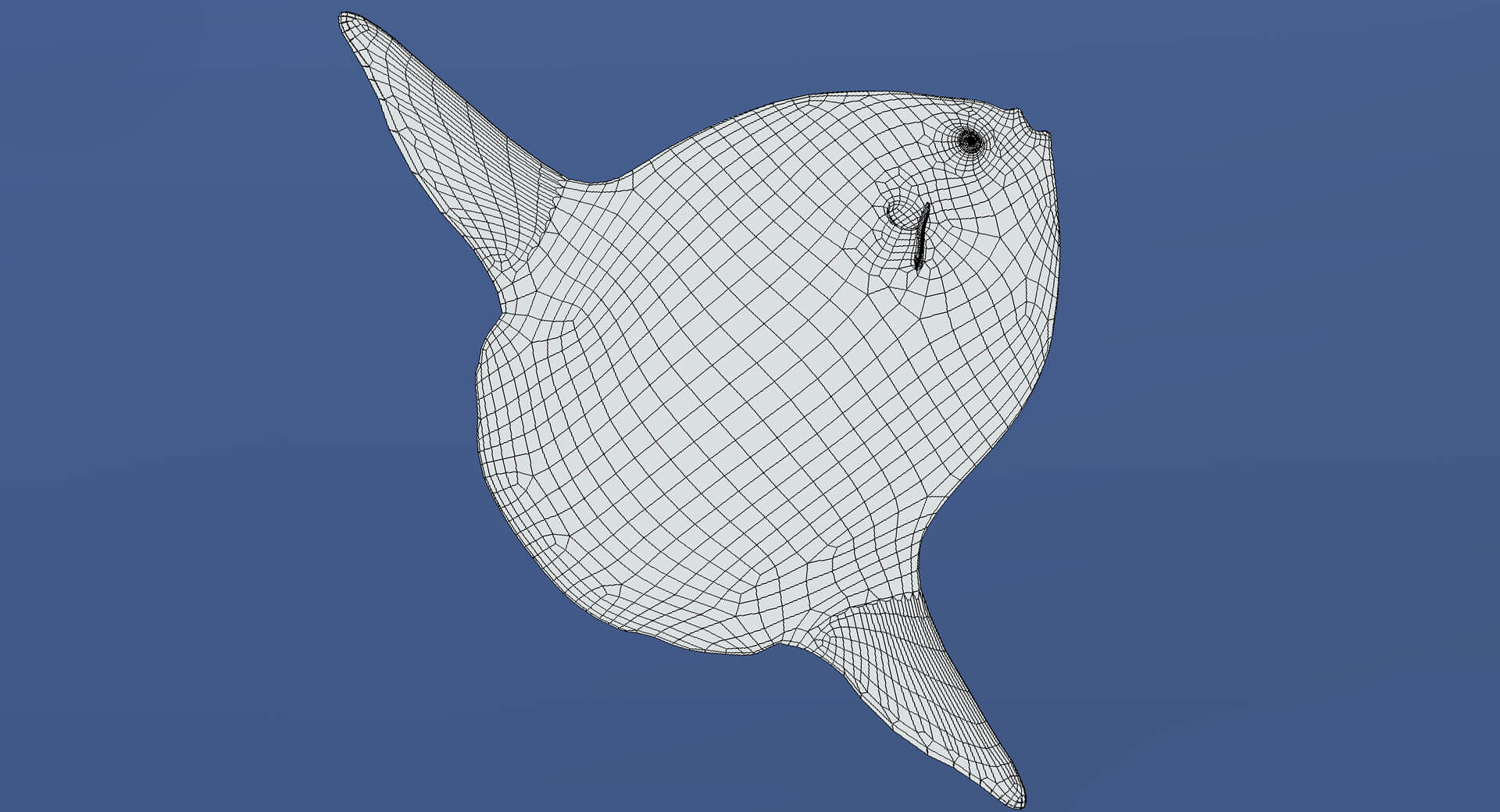 Hoodwinker Sunfish ( Mola Tecta ) - 3D Model by Nestaeric