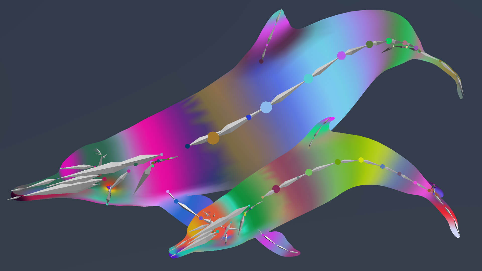 Indo-Pacific Humpback Dolphin 3D Model by Nestaeric