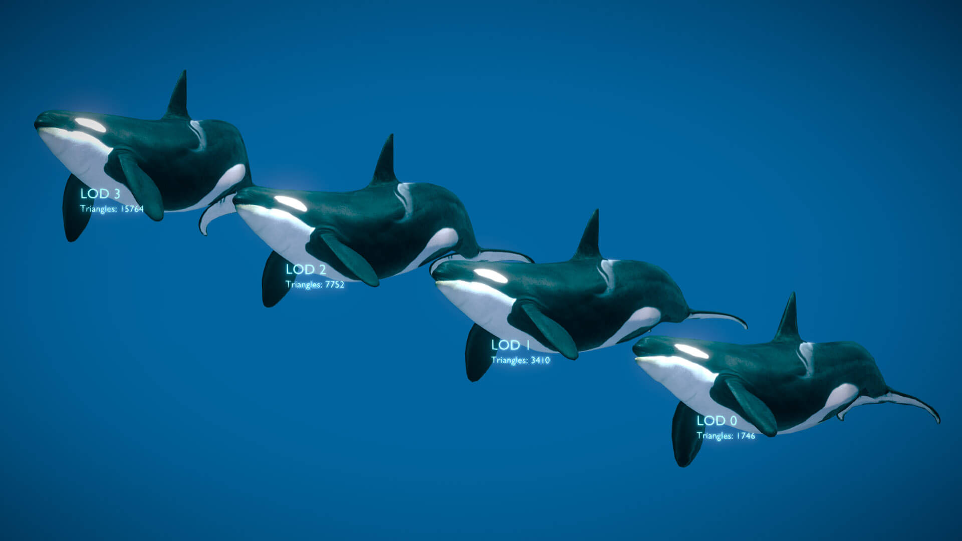 Killer Whale — Type a ♀ 3D Model by Nestaeric