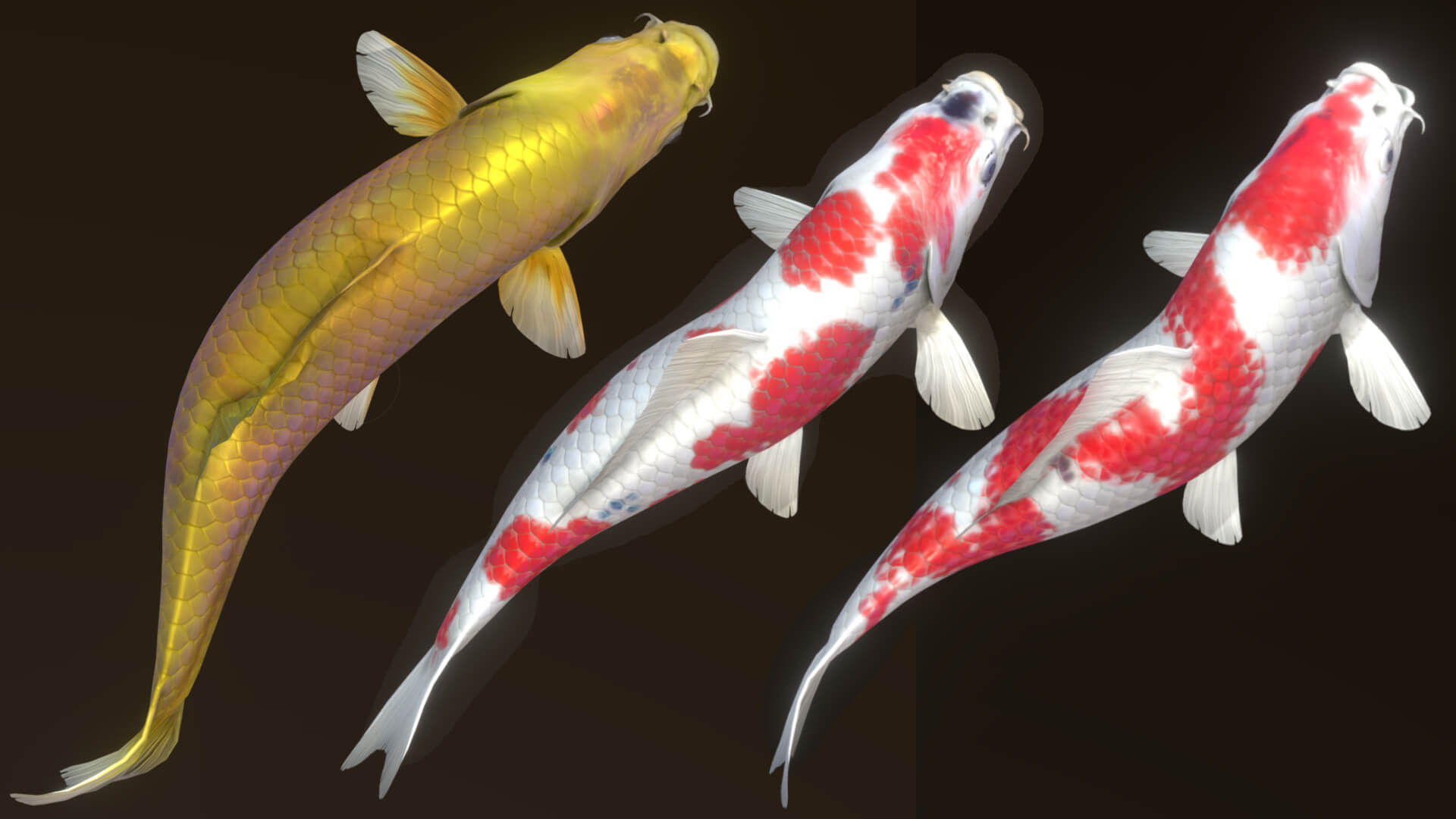 Koi — Kohaku ( Animated 3D Model FBX ) by Nestaeric