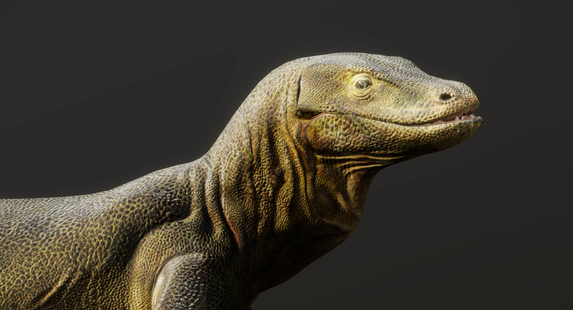 Komodo Dragon 3D Model by Nestaeric