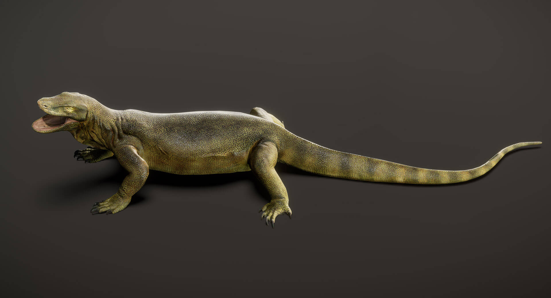 Komodo Dragon 3D Model by Nestaeric