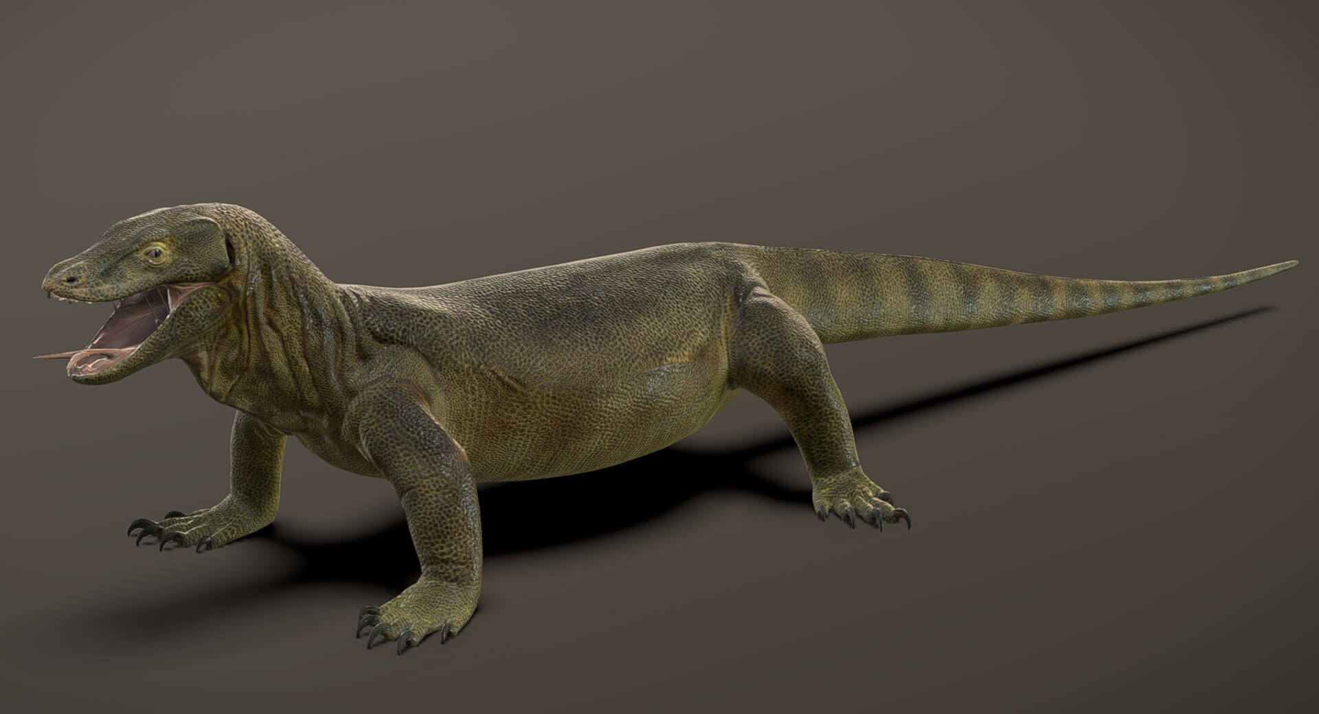 Komodo Dragon 3D Model by Nestaeric