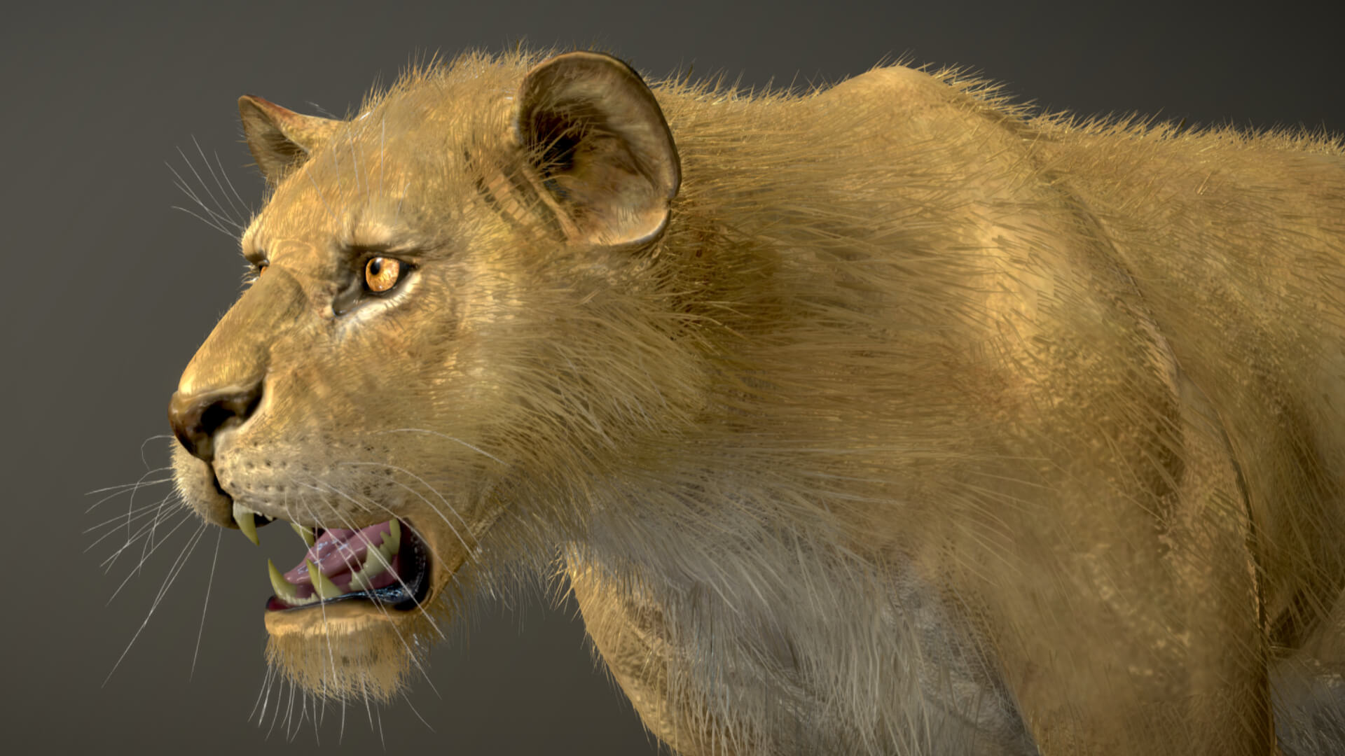 Lion ♀ ( Animated 3D Model FBX ) by Nestaeric