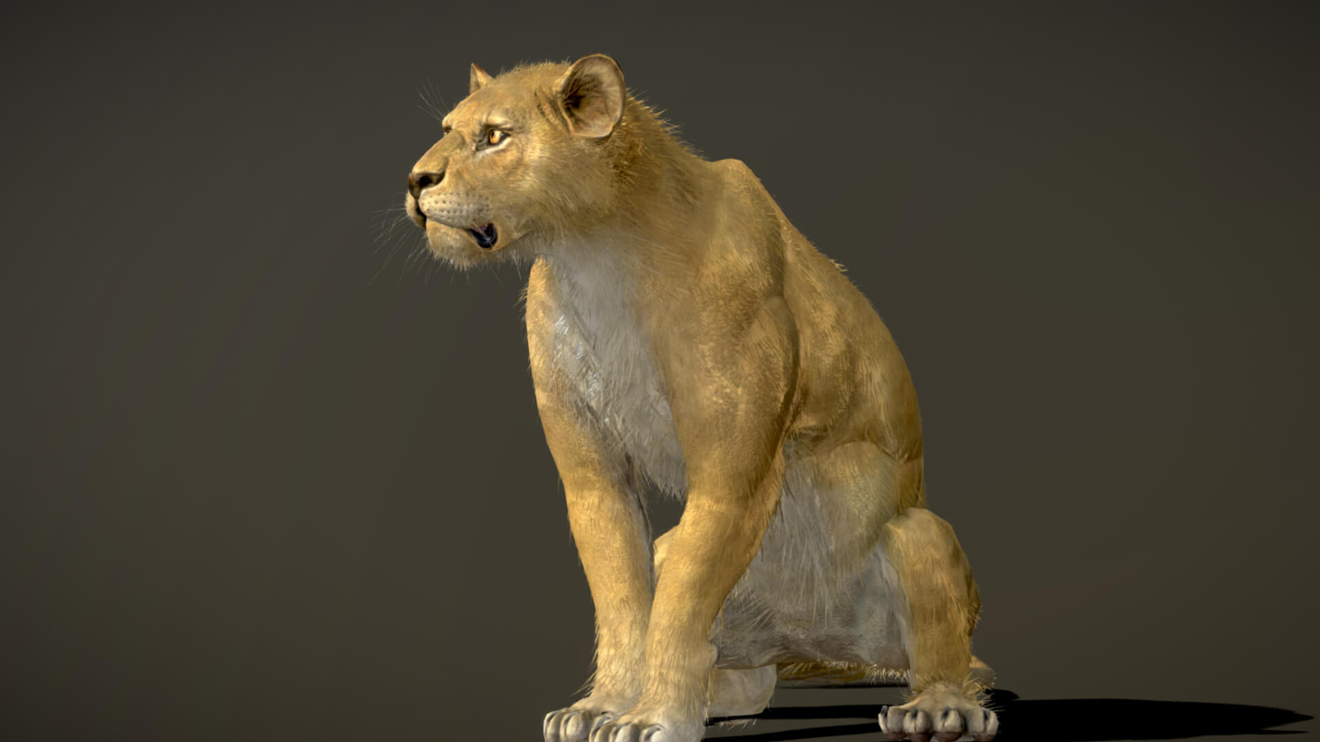 Lion ♀ ( Animated 3D Model FBX ) by Nestaeric