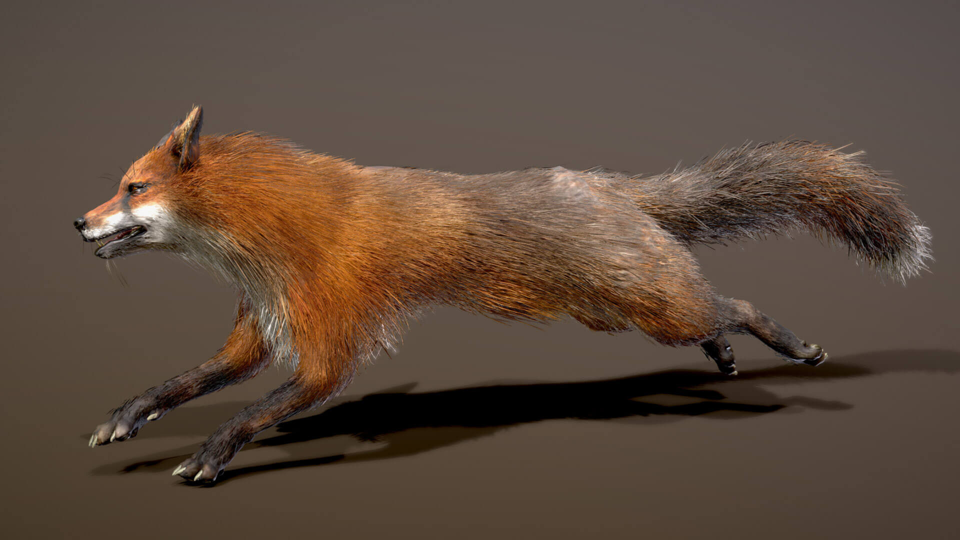 Red Fox 3D Model by Nestaeric